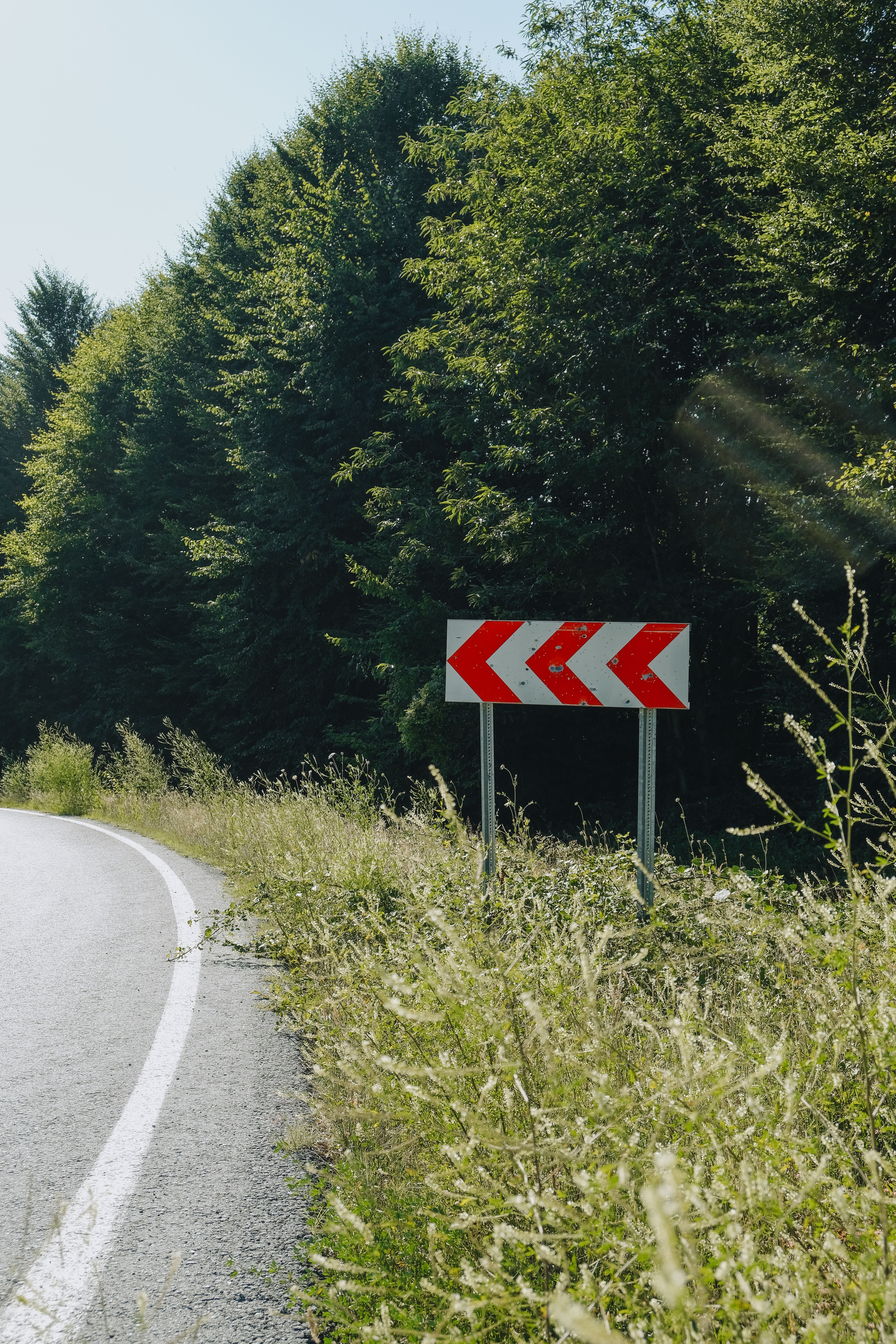 Red and White Road Sign Near Green Trees · Free Stock Photo