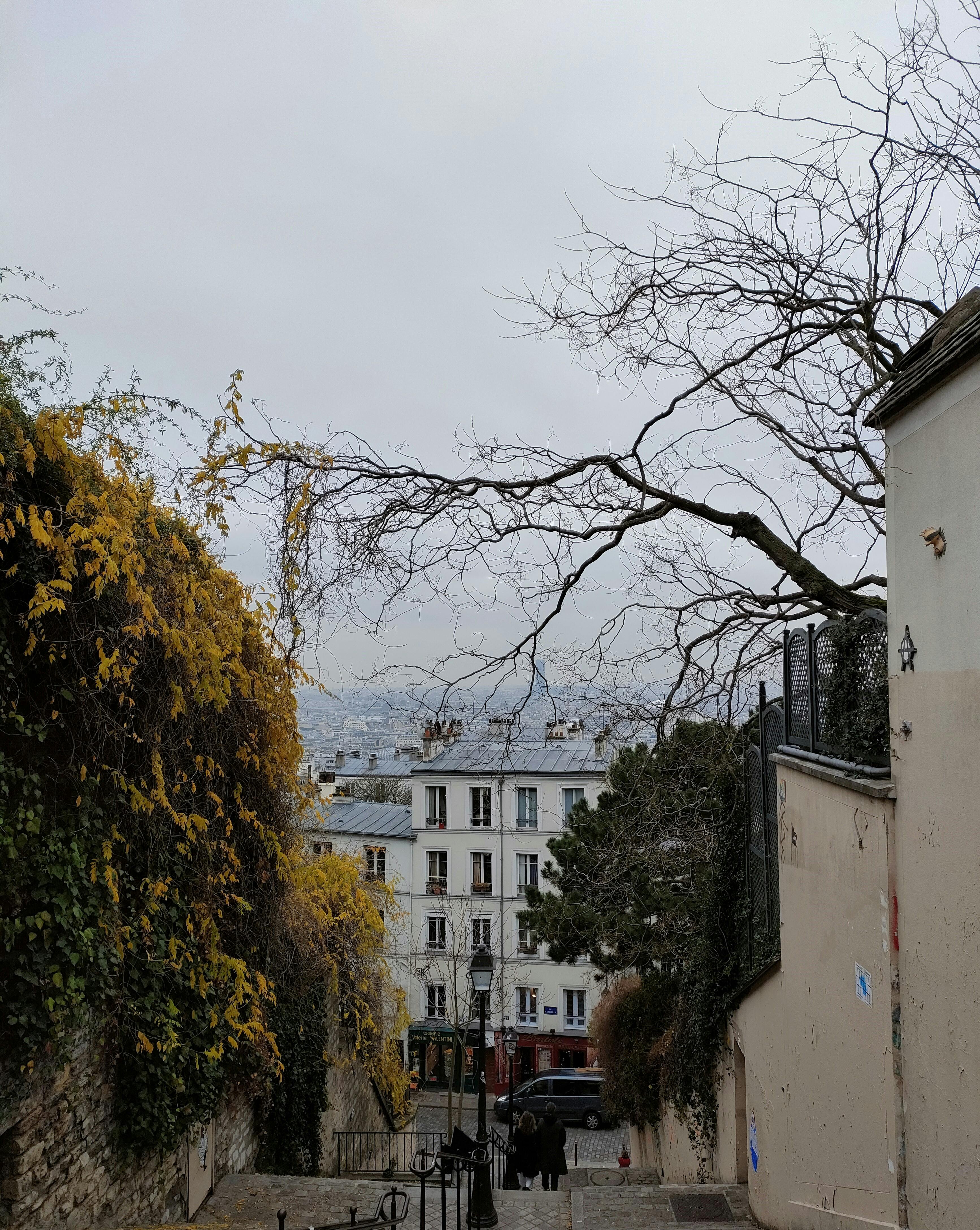 City in Autumn · Free Stock Photo