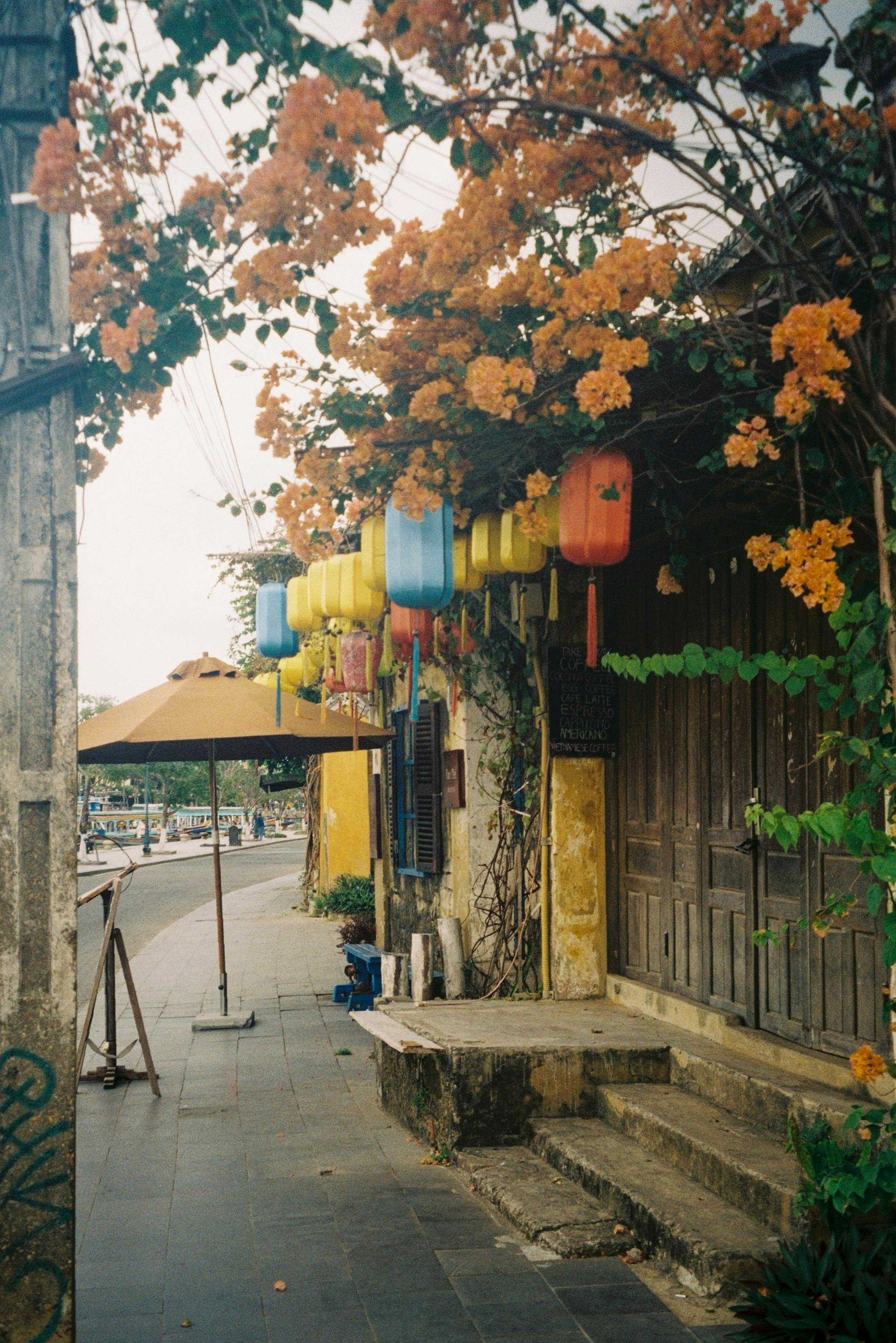 Lantern Vietnam Photos, Download The BEST Free Lantern Vietnam Stock ...