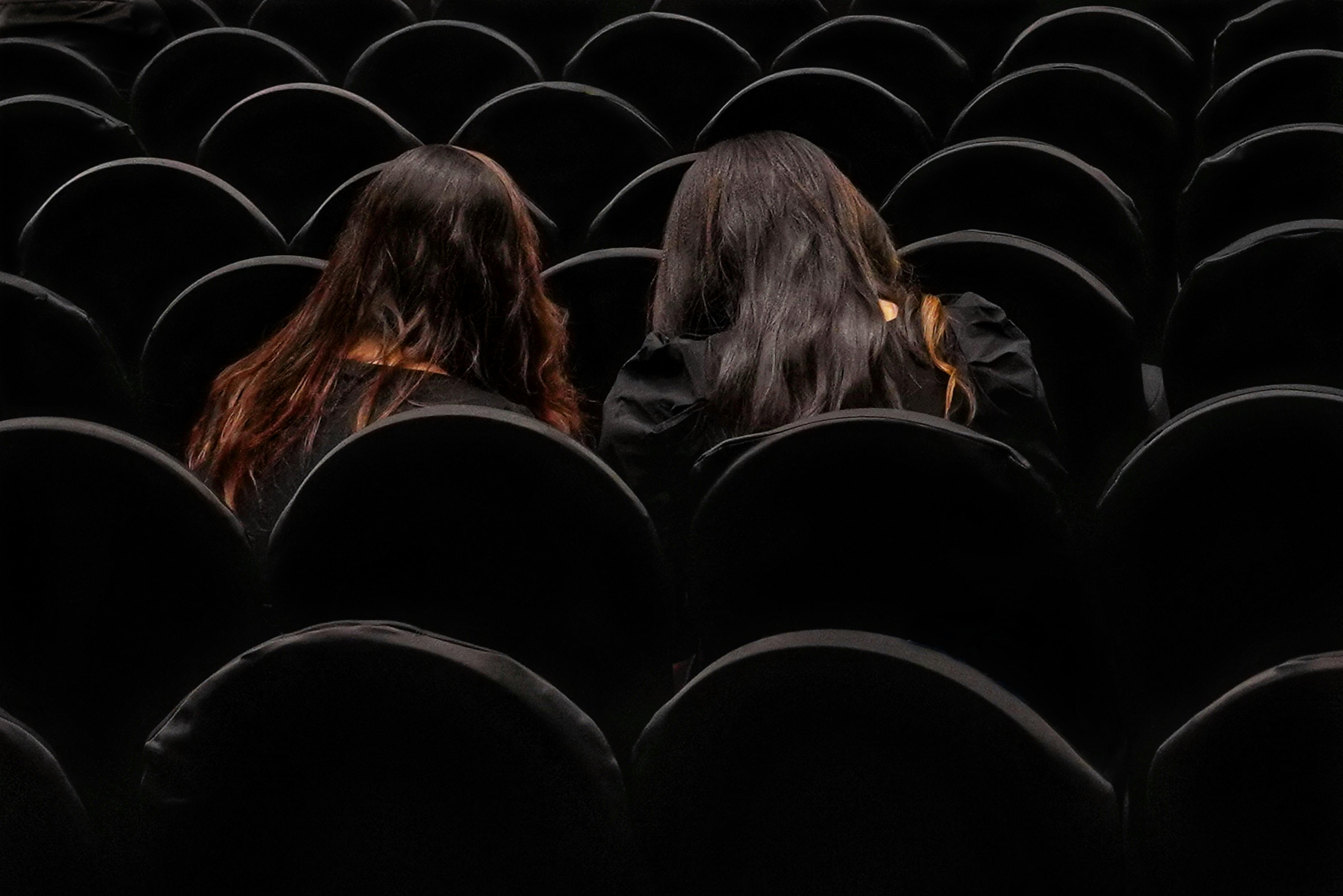 Back View of Women Sitting on Chairs · Free Stock Photo