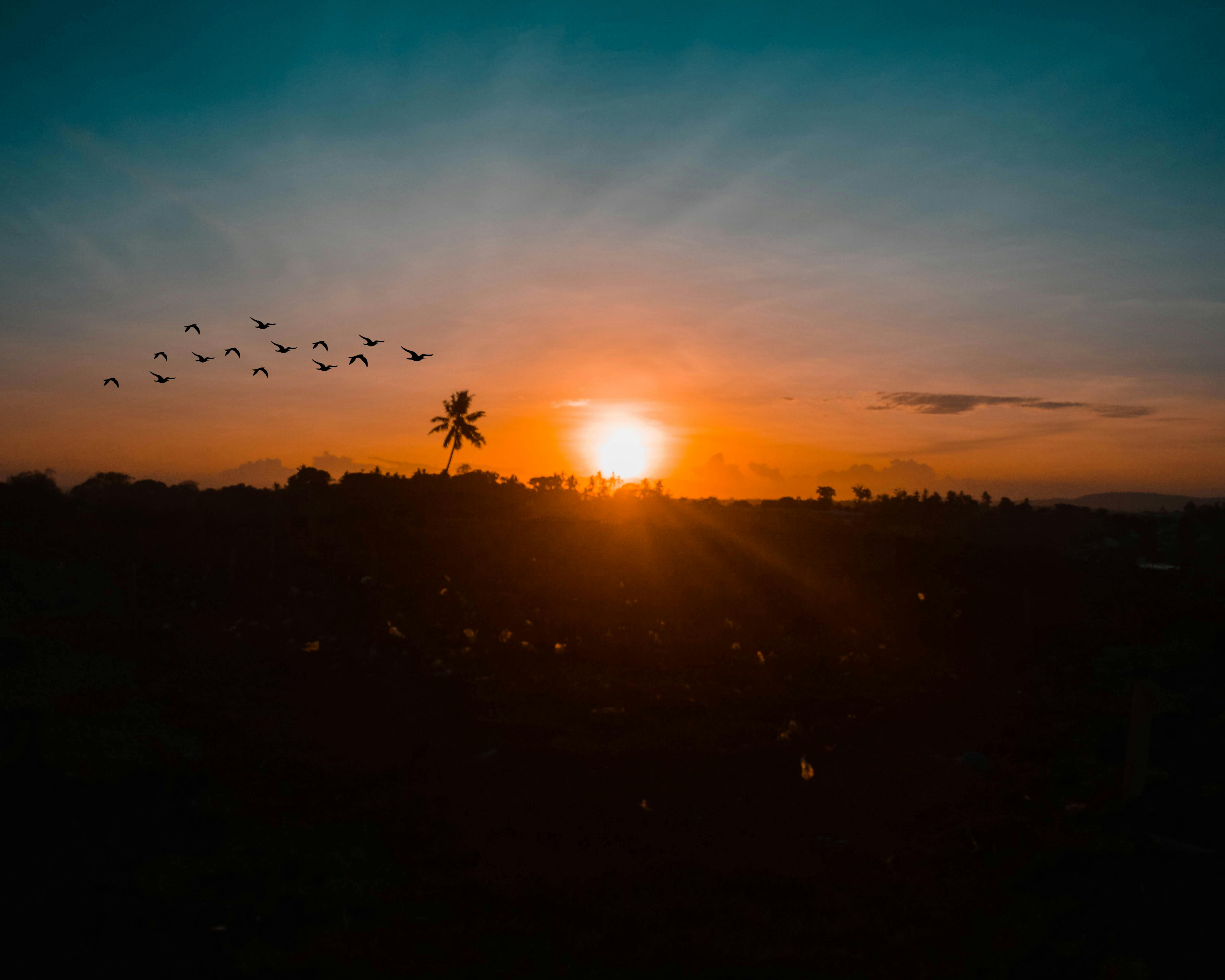 Setting sun Images - Search Images on Everypixel