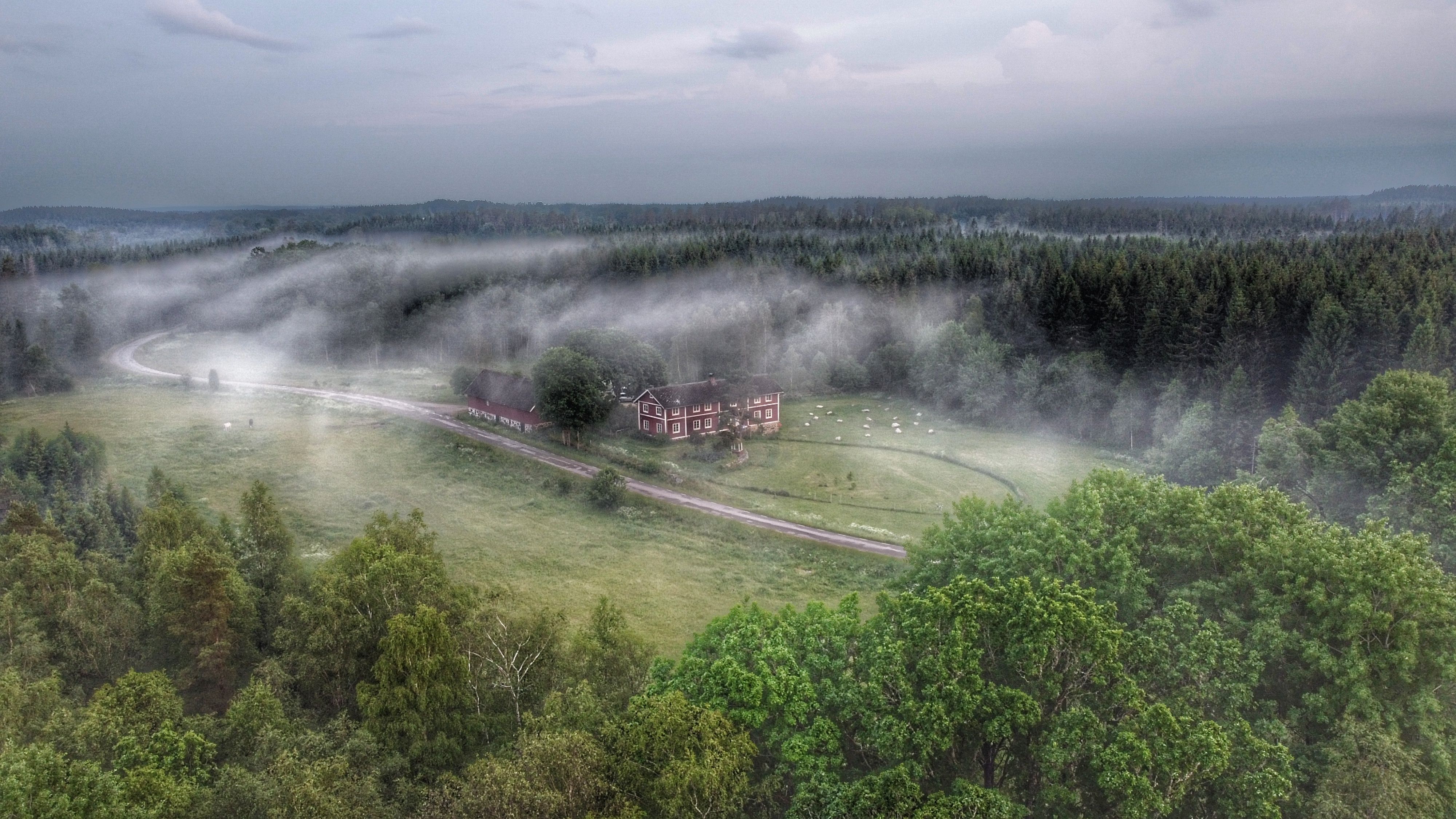 Singular House In The Woods Photos, Download Free Singular House In The ...