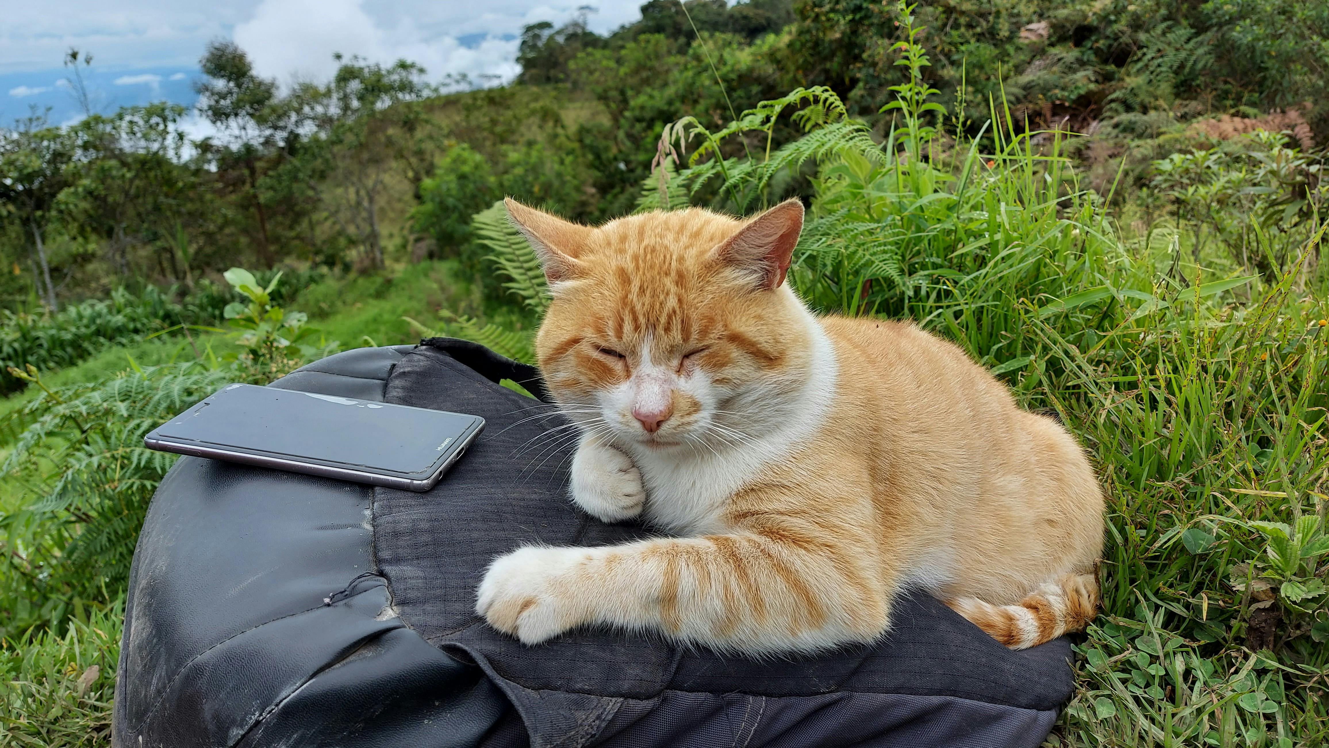 Jaimar – Fotografia