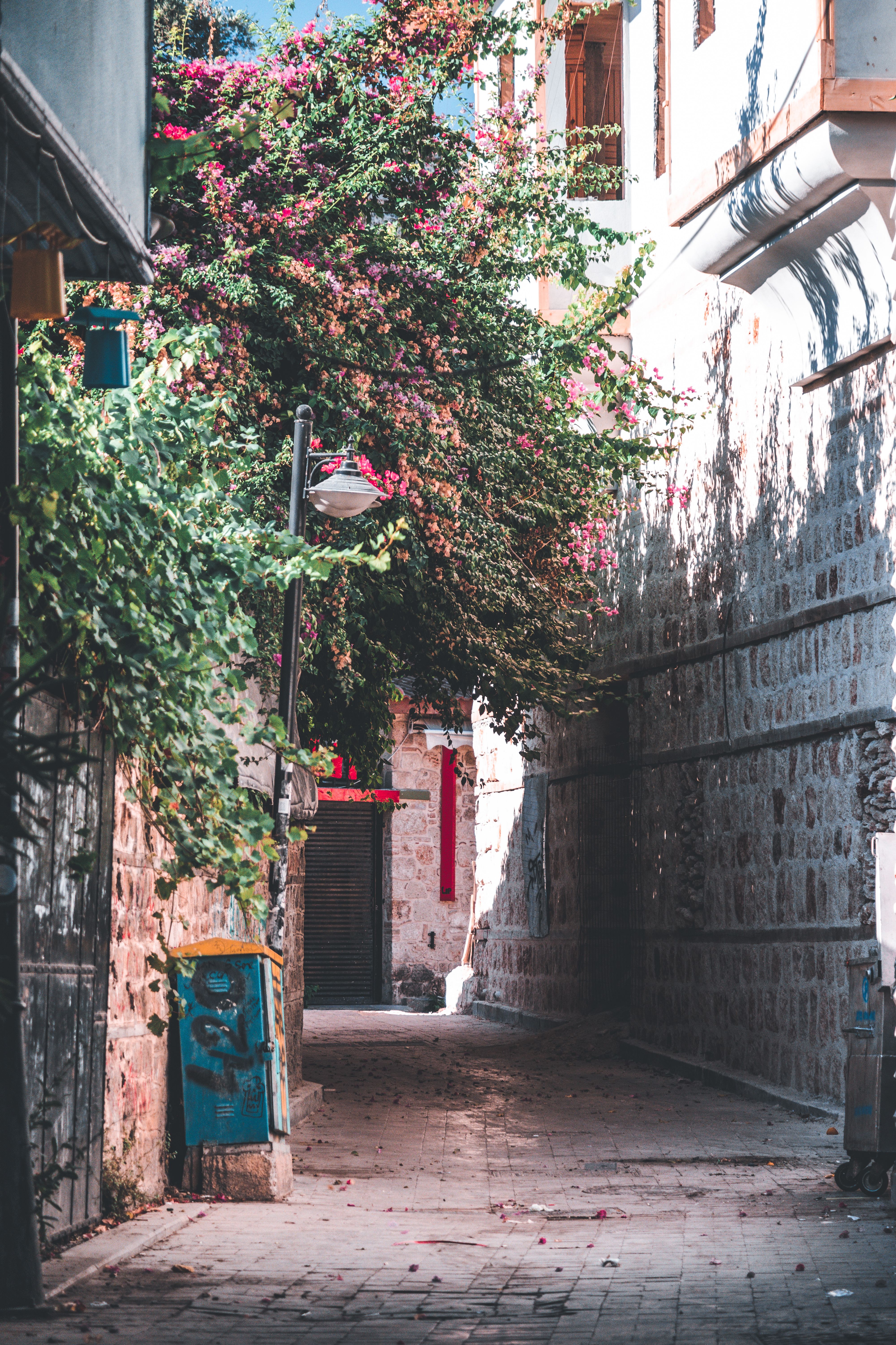 An Alleyway between Concrete Buildings · Free Stock Photo
