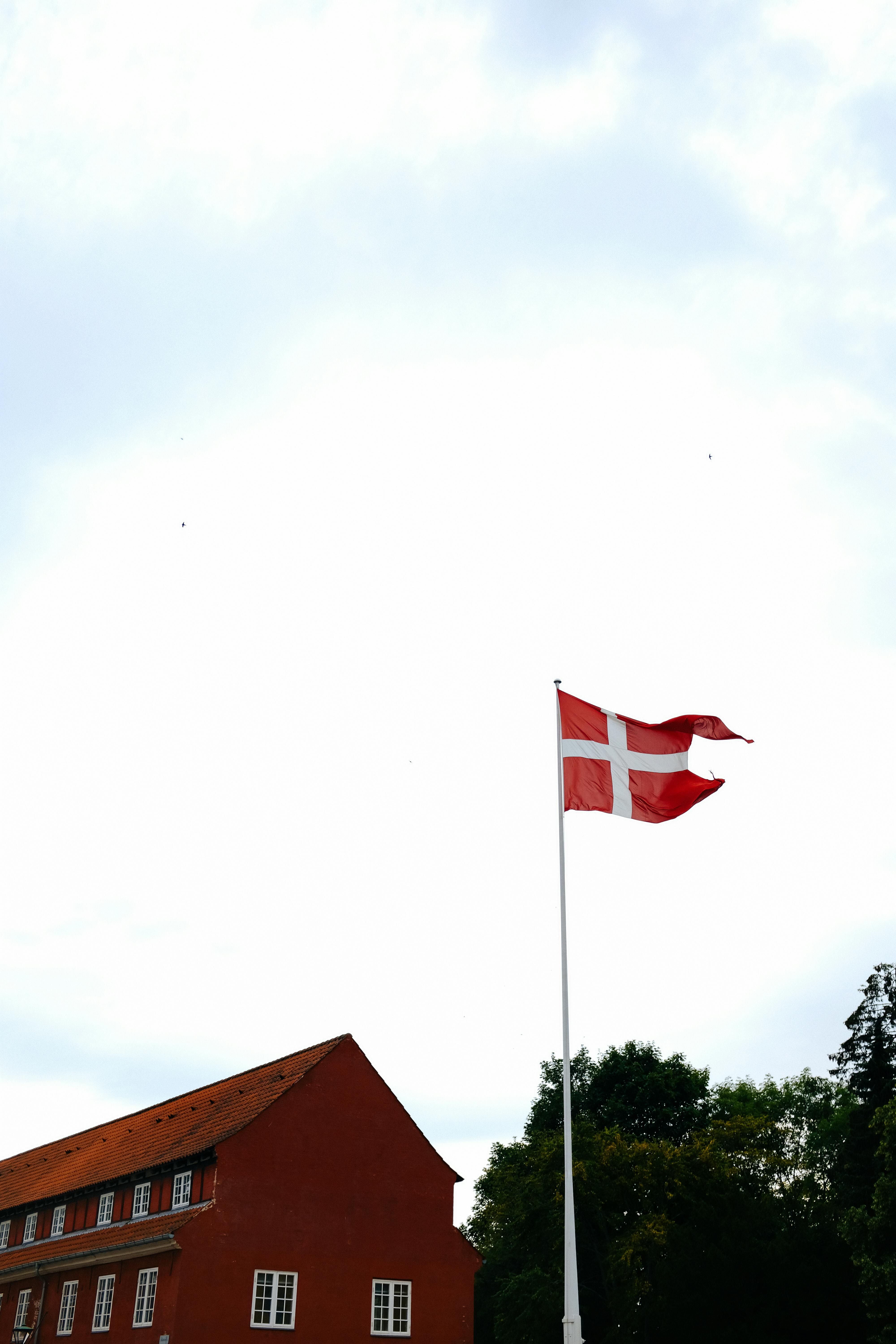 Denmark Flag Photos, Download The BEST Free Denmark Flag Stock Photos ...