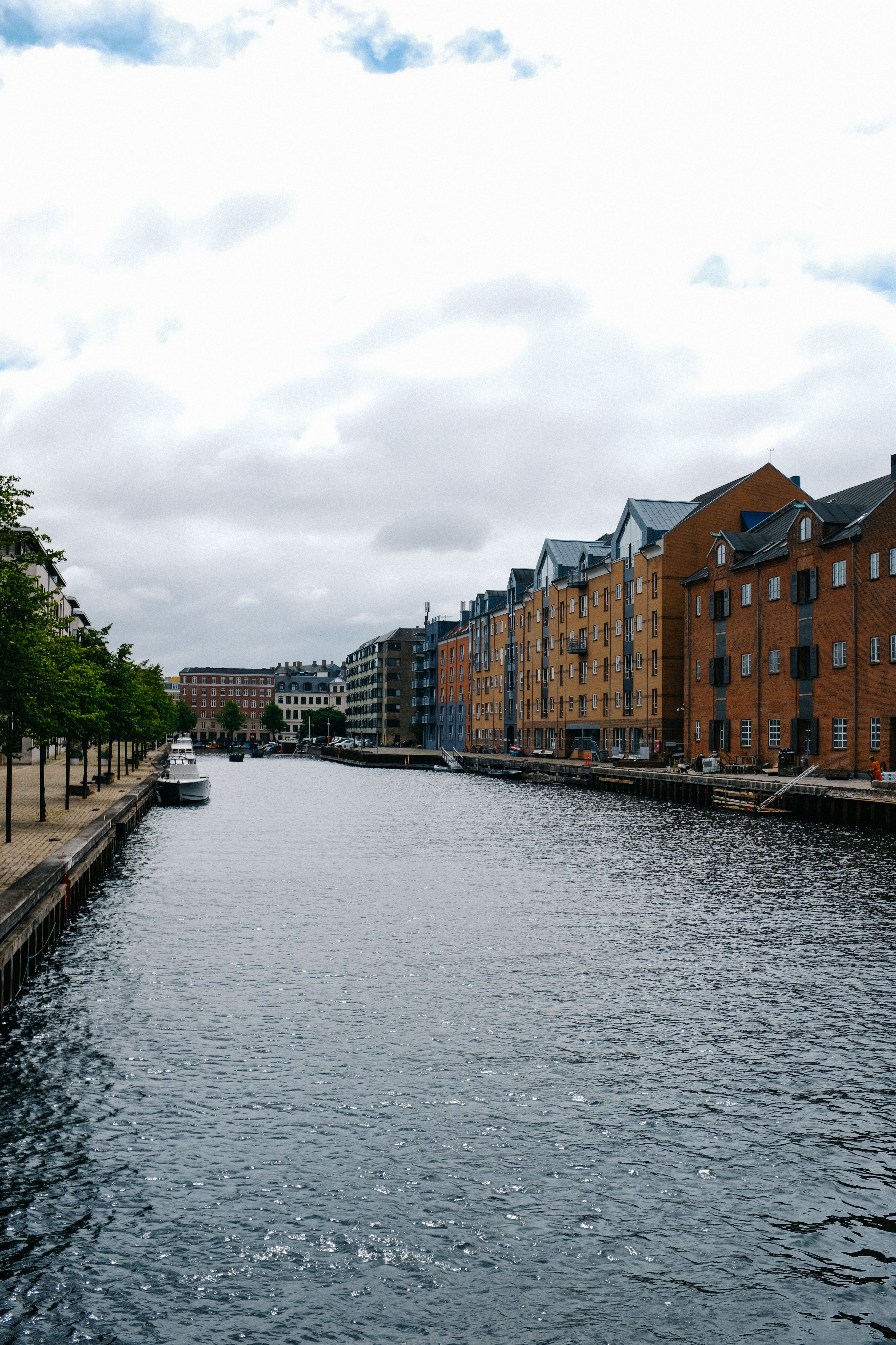 Buildings Near a River · Free Stock Photo