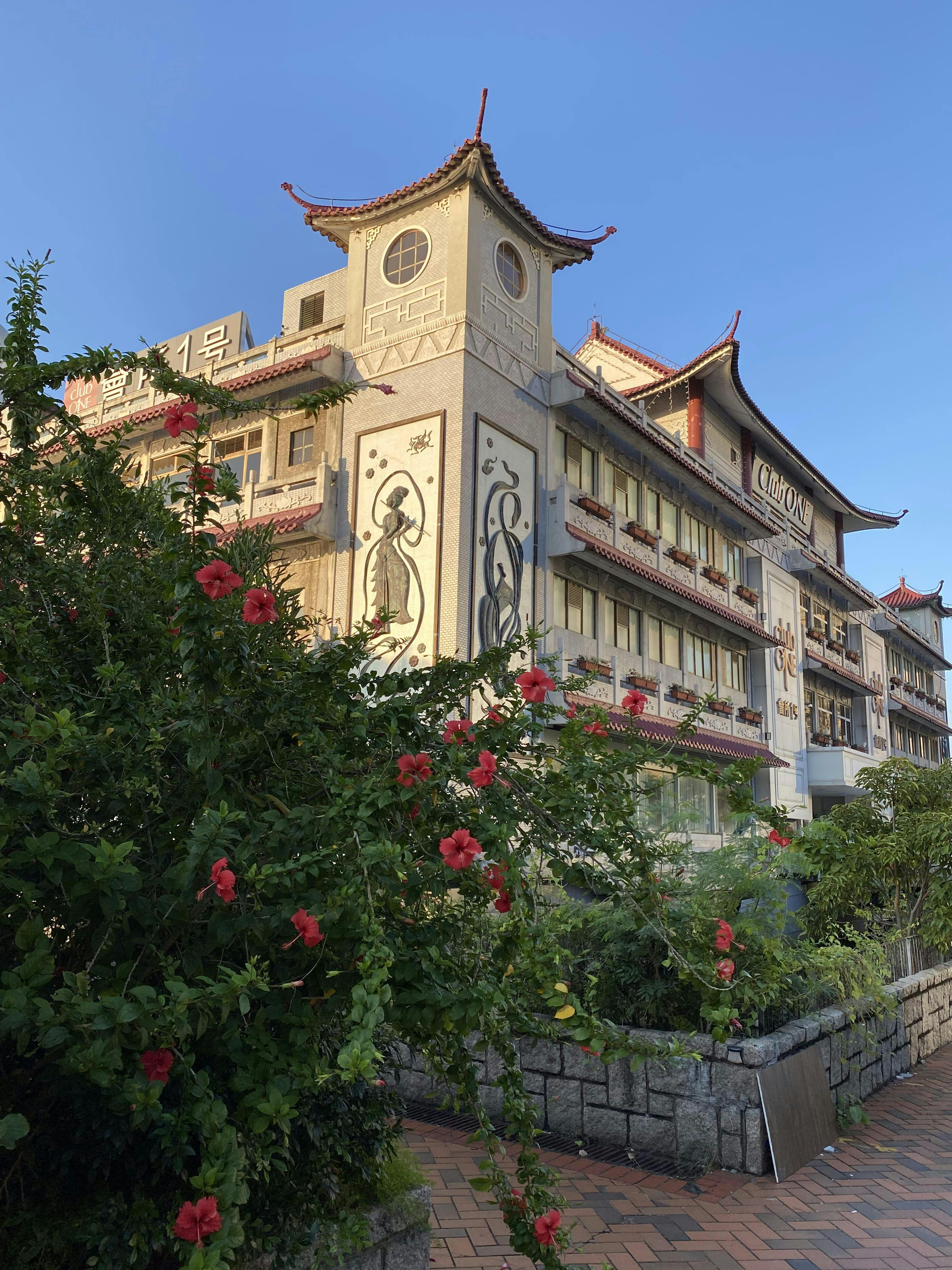 Office Garden Photos, Download The BEST Free Office Garden Stock Photos ...