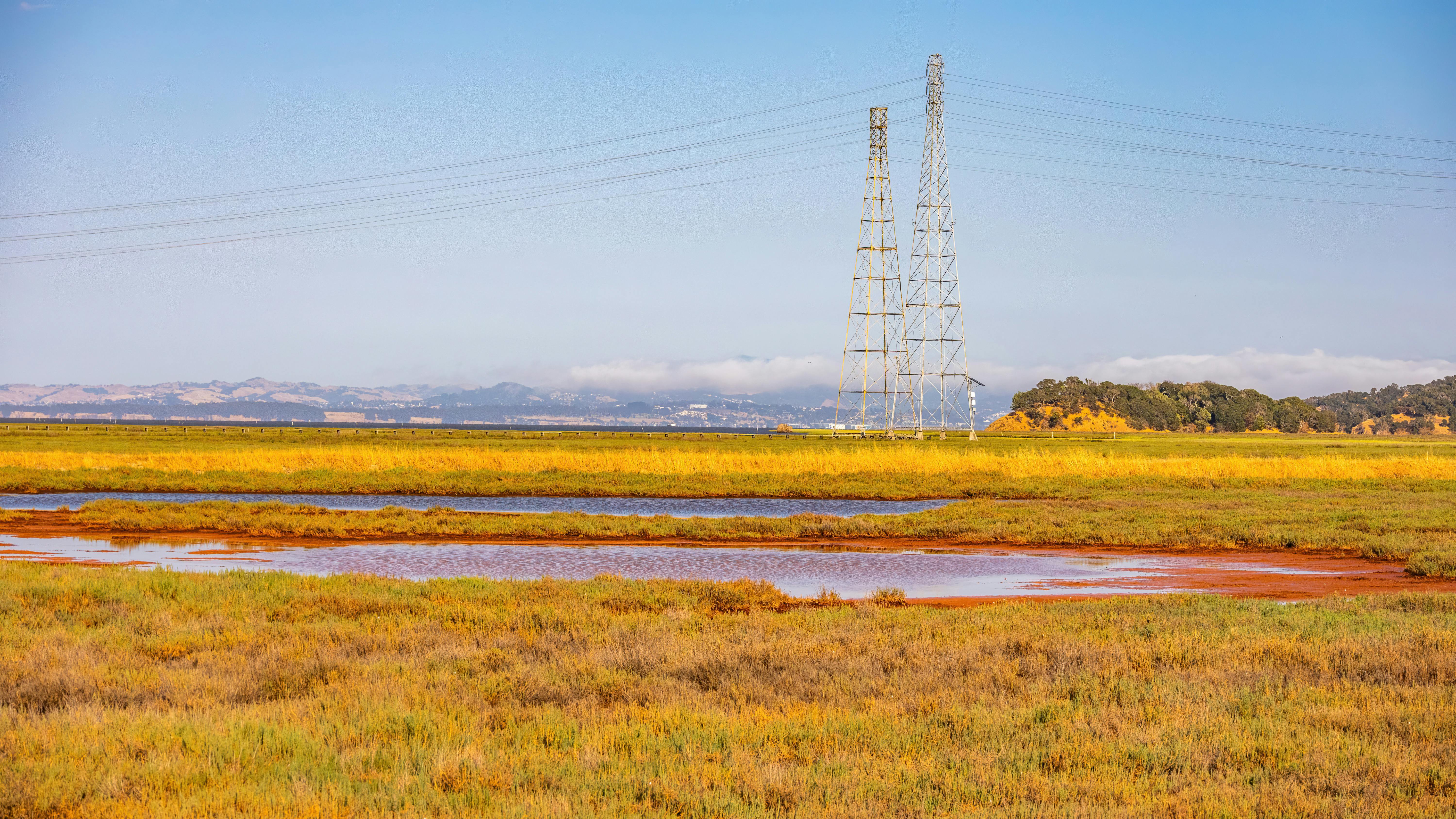 Wire Structures Photos, Download The BEST Free Wire Structures Stock ...