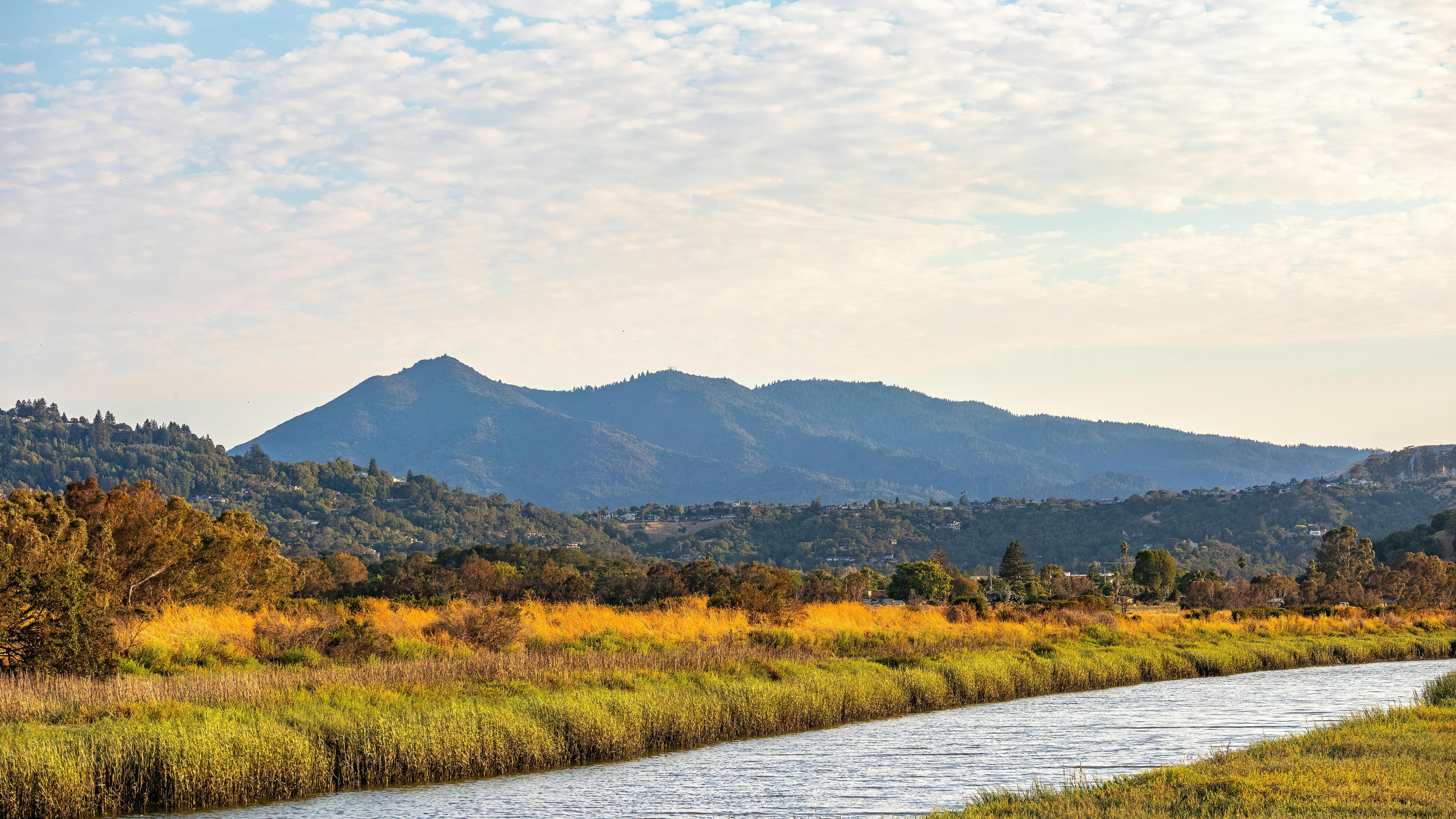 Ecological River View Photos, Download The BEST Free Ecological River ...