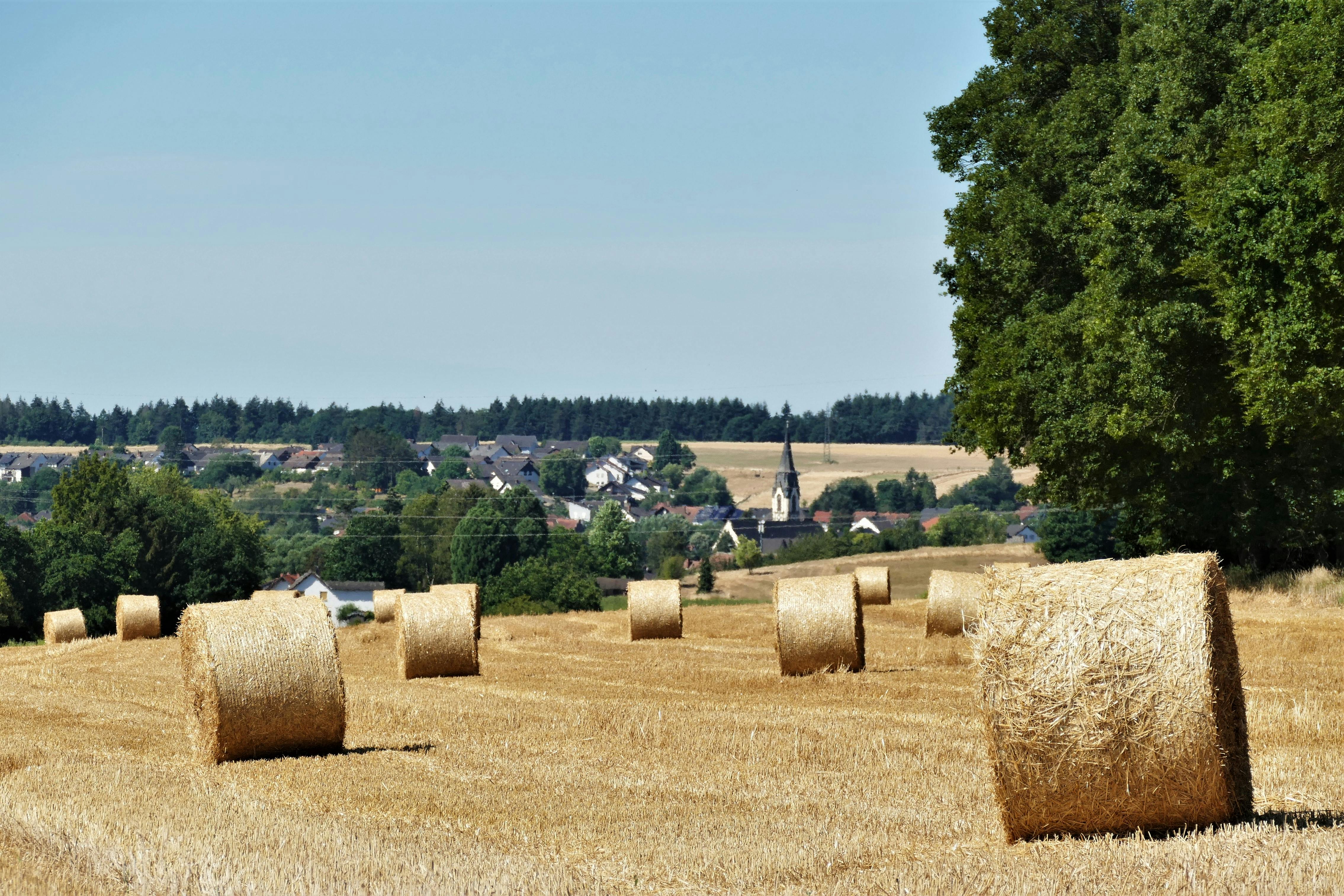 Stacks of Rectangular Bales of Golden Hay · Free Stock Photo
