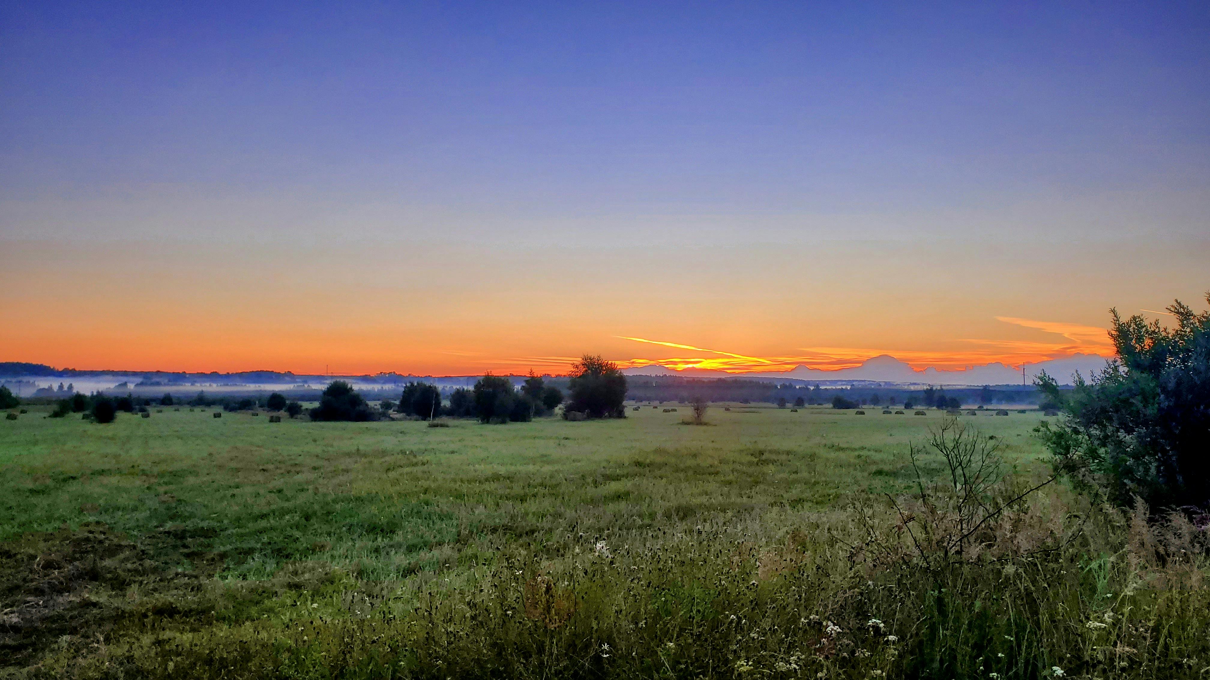 A Field in the Countryside during the Golden Hour · Free Stock Photo