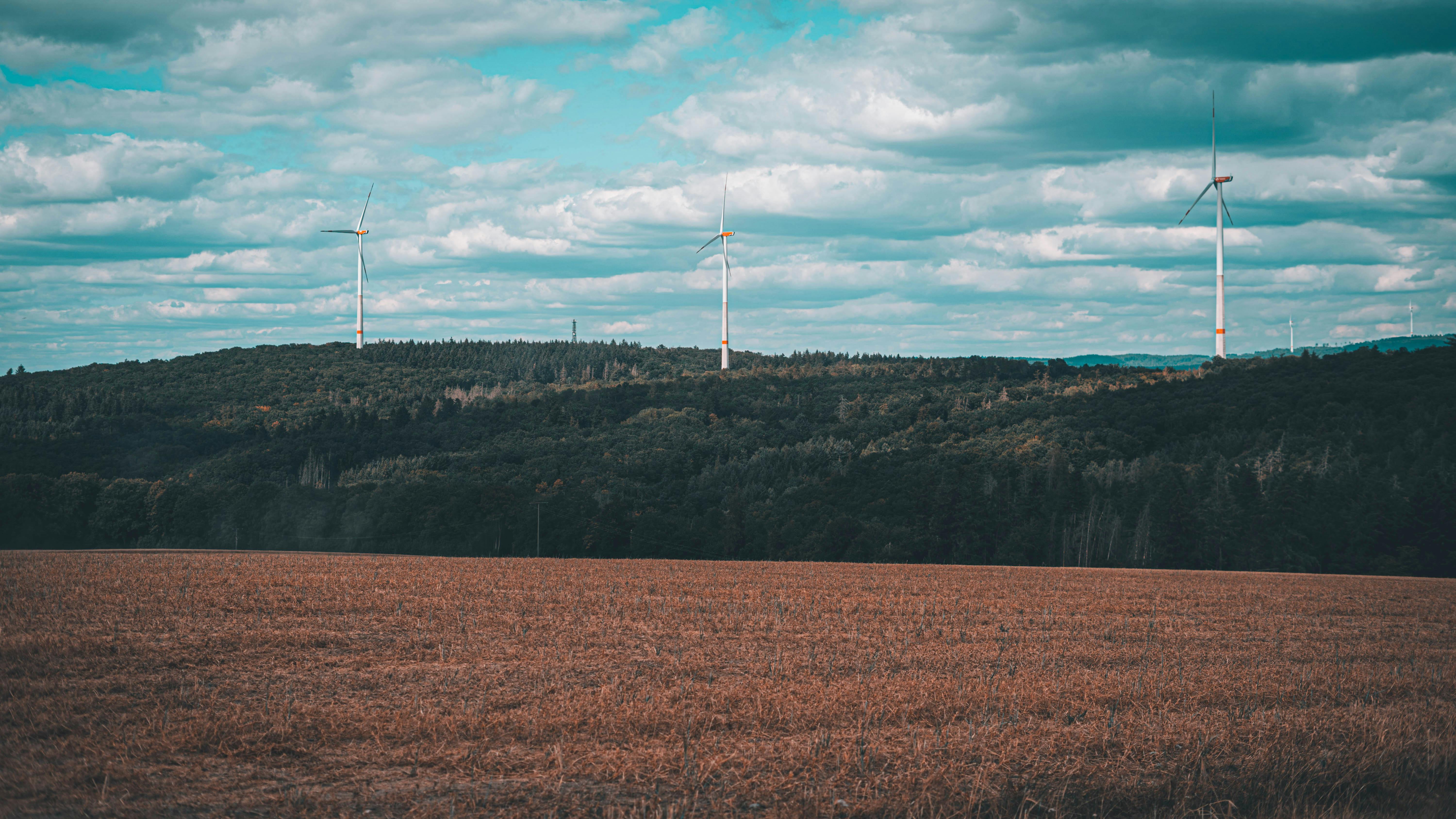 A Wind Turbine Beside a Flower Field · Free Stock Photo