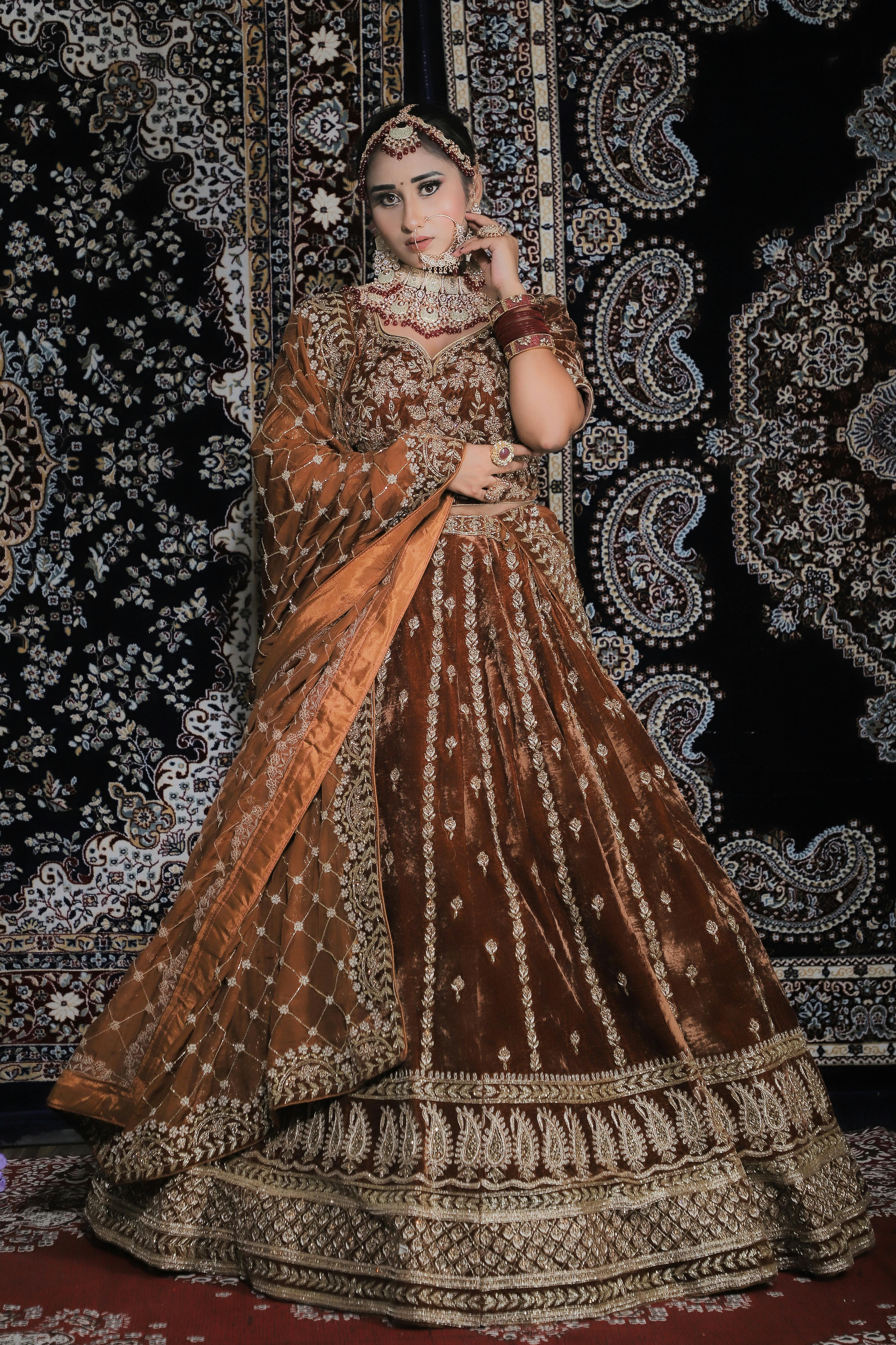 Woman Wearing a Brown Sari · Free Stock Photo