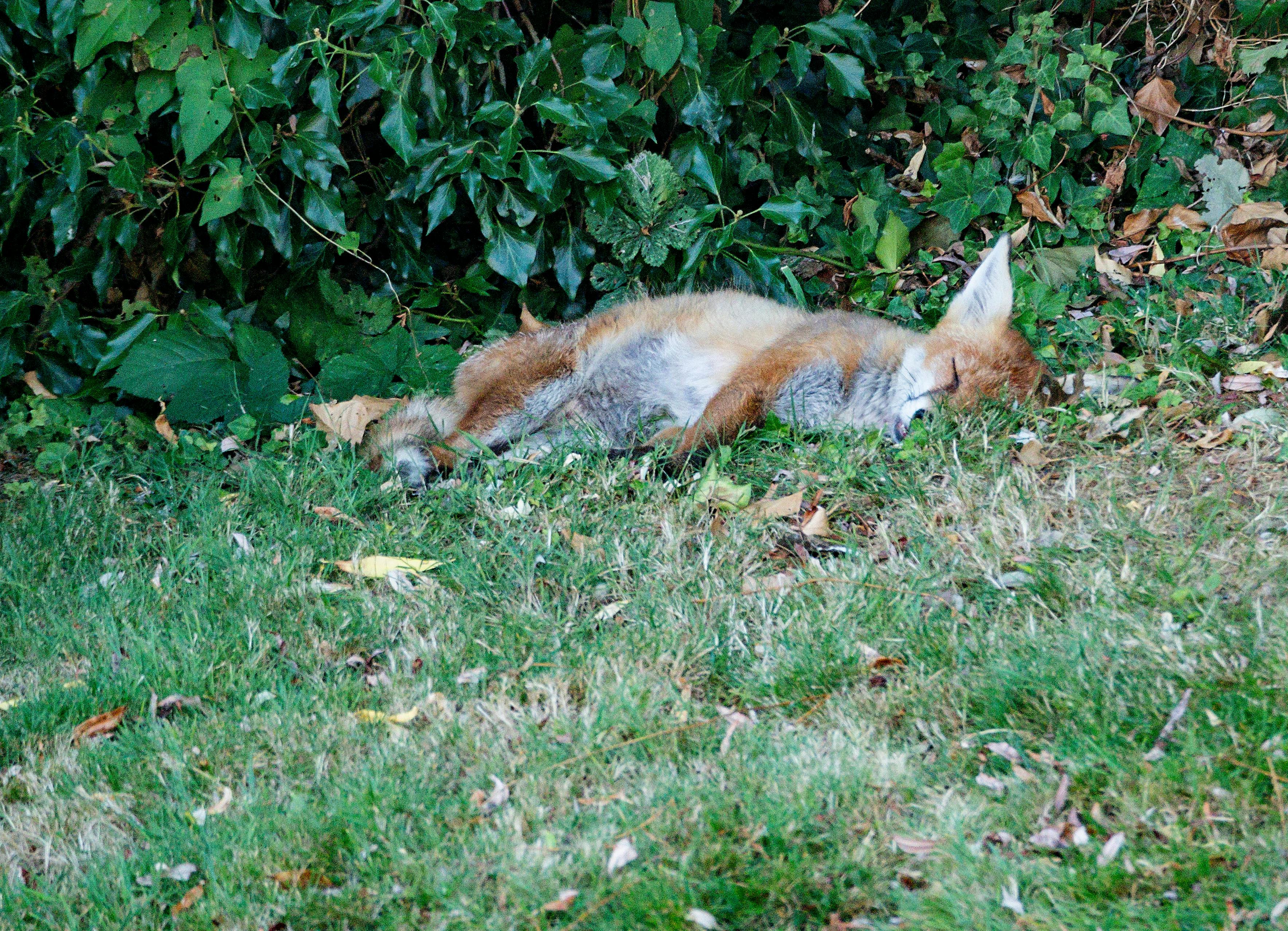 Brett Jordan · Photography