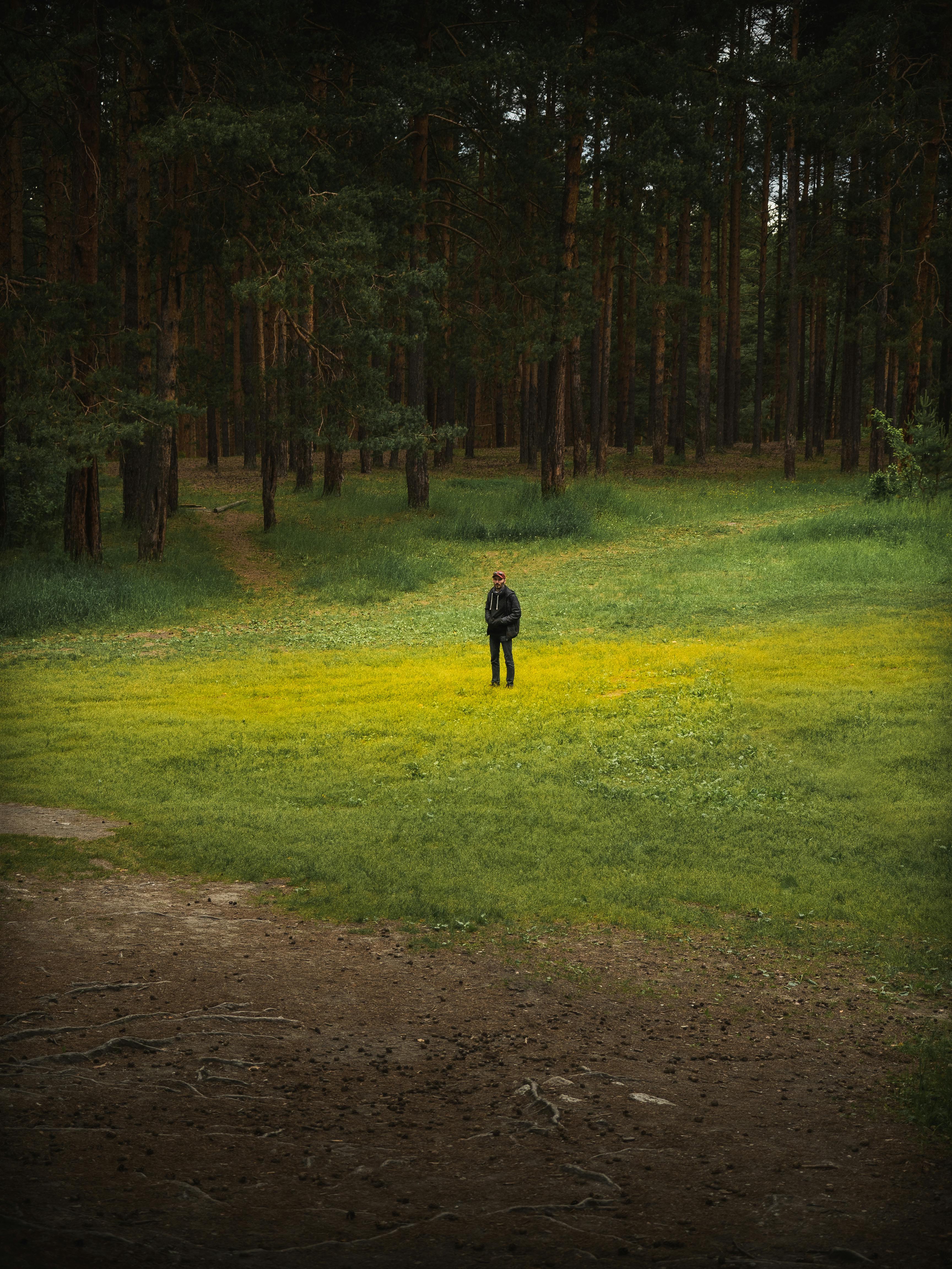 Person Standing in Forest · Free Stock Photo