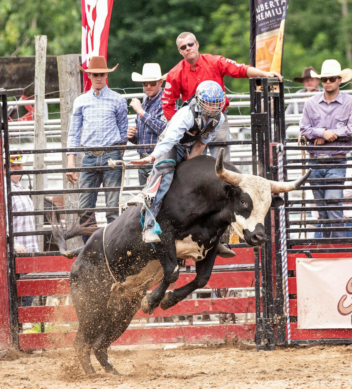 Bull Riding Photos, Download The BEST Free Bull Riding Stock Photos ...