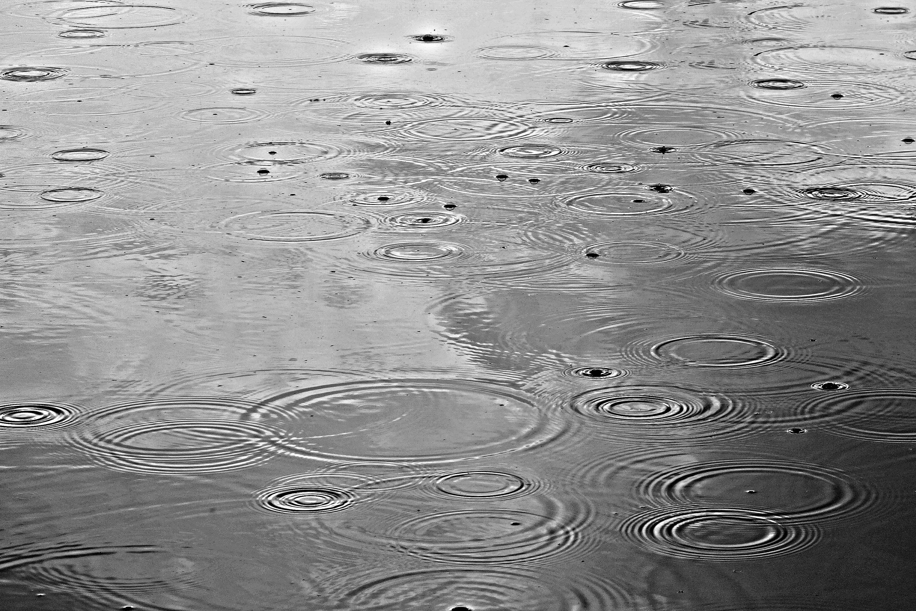 Kostenloses Foto zum Thema: kreise, regen, regen auf dem wasser