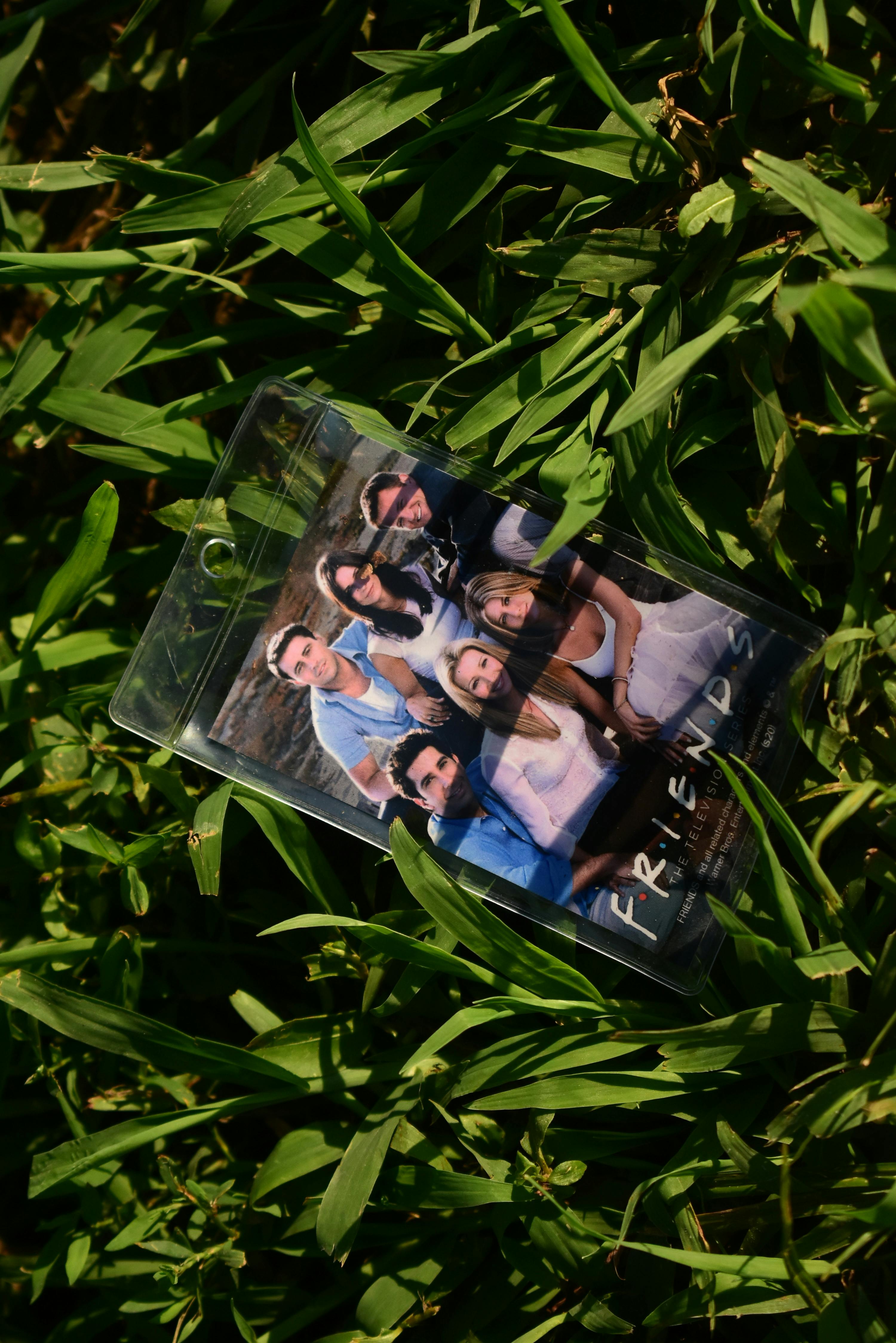 Wendy Maxwell – Fotografie