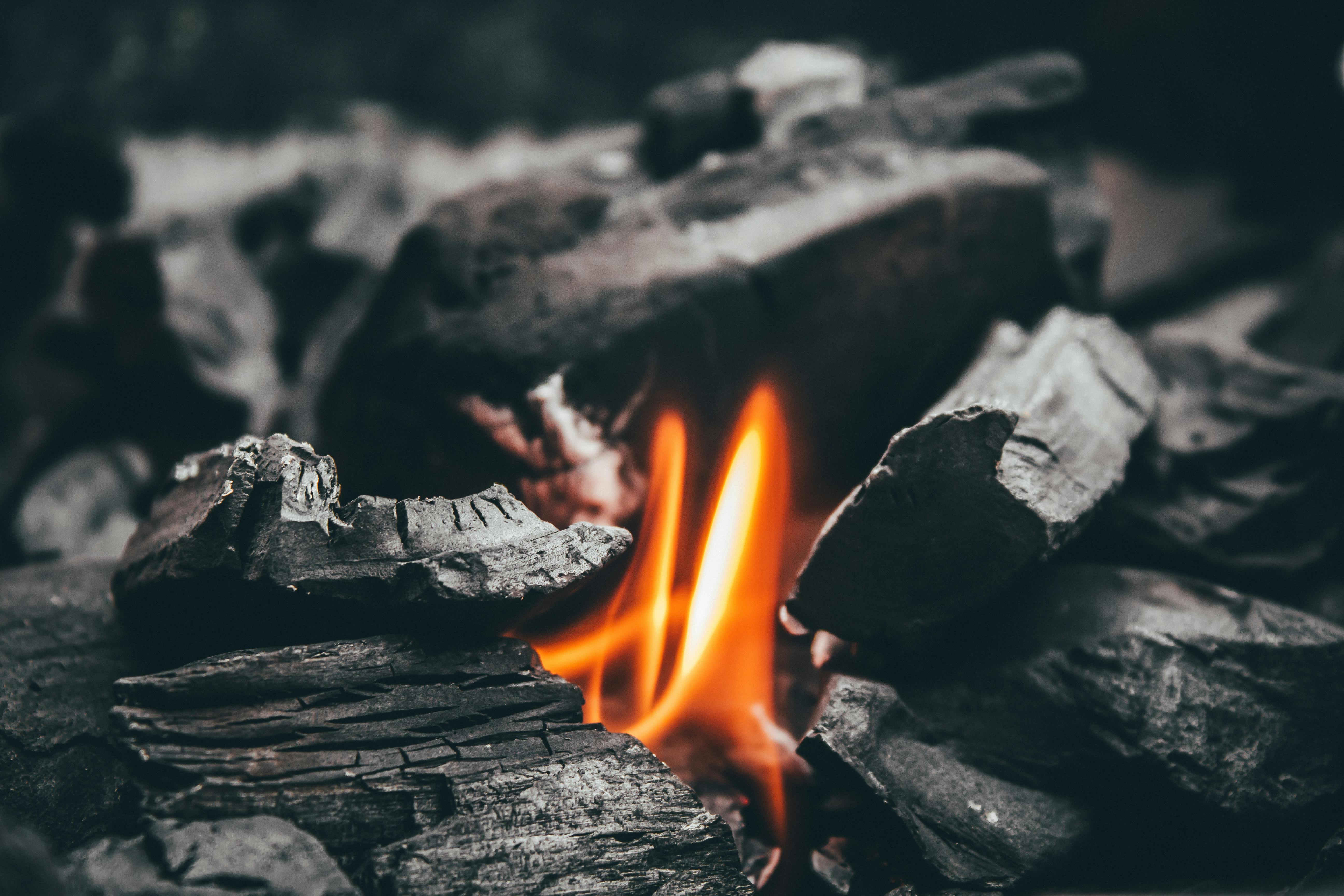 Close-up of Fire and Charcoal · Free Stock Photo