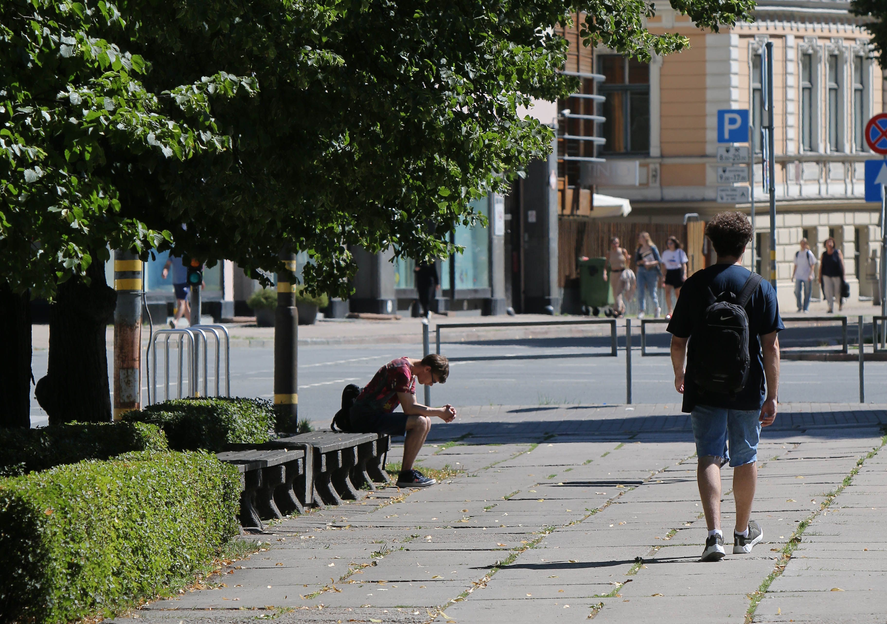 Man Sitting on the Bench by the Roadside · Free Stock Photo