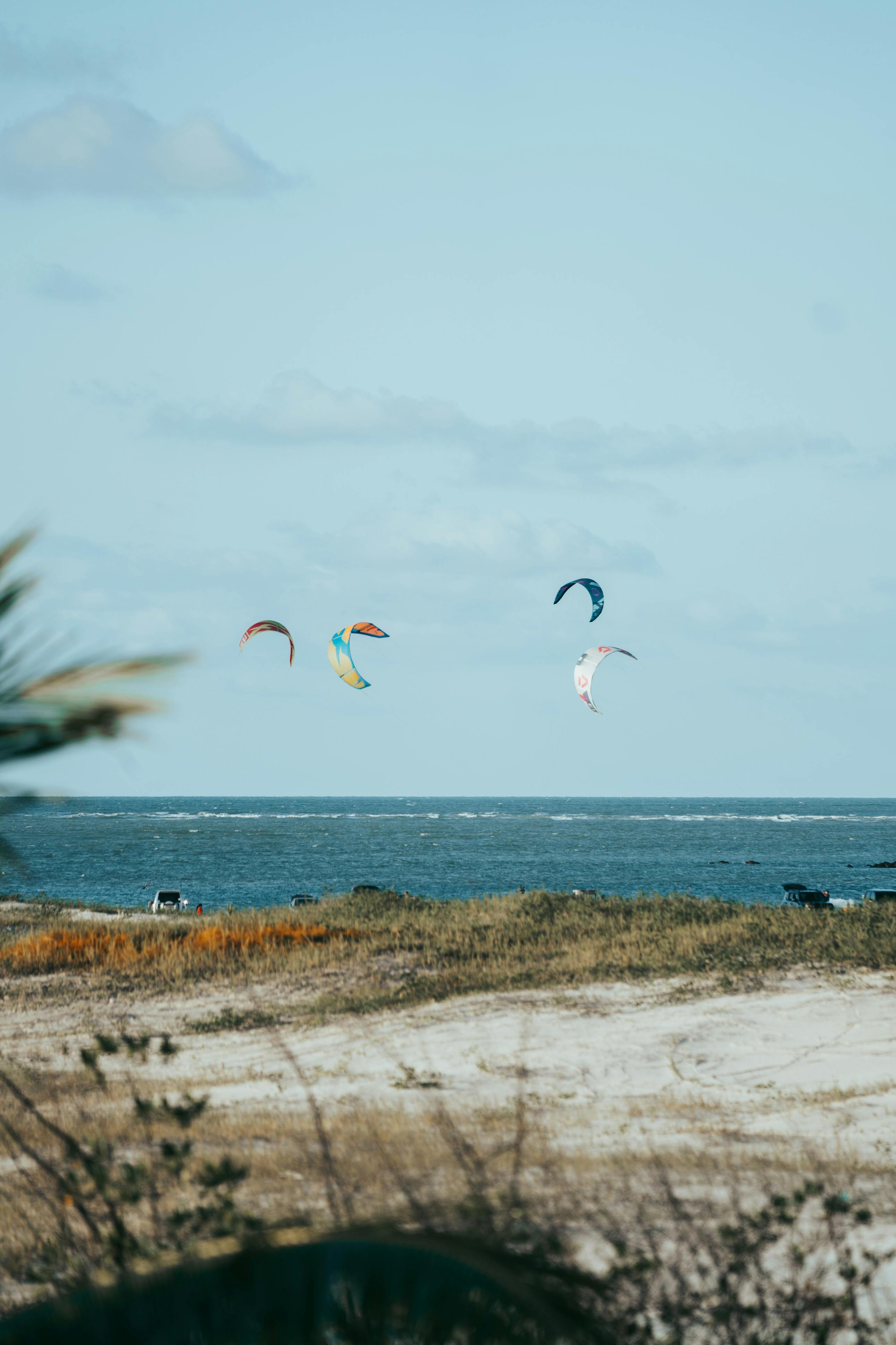 View of Kitesurfing Kites over the Sea · Free Stock Photo