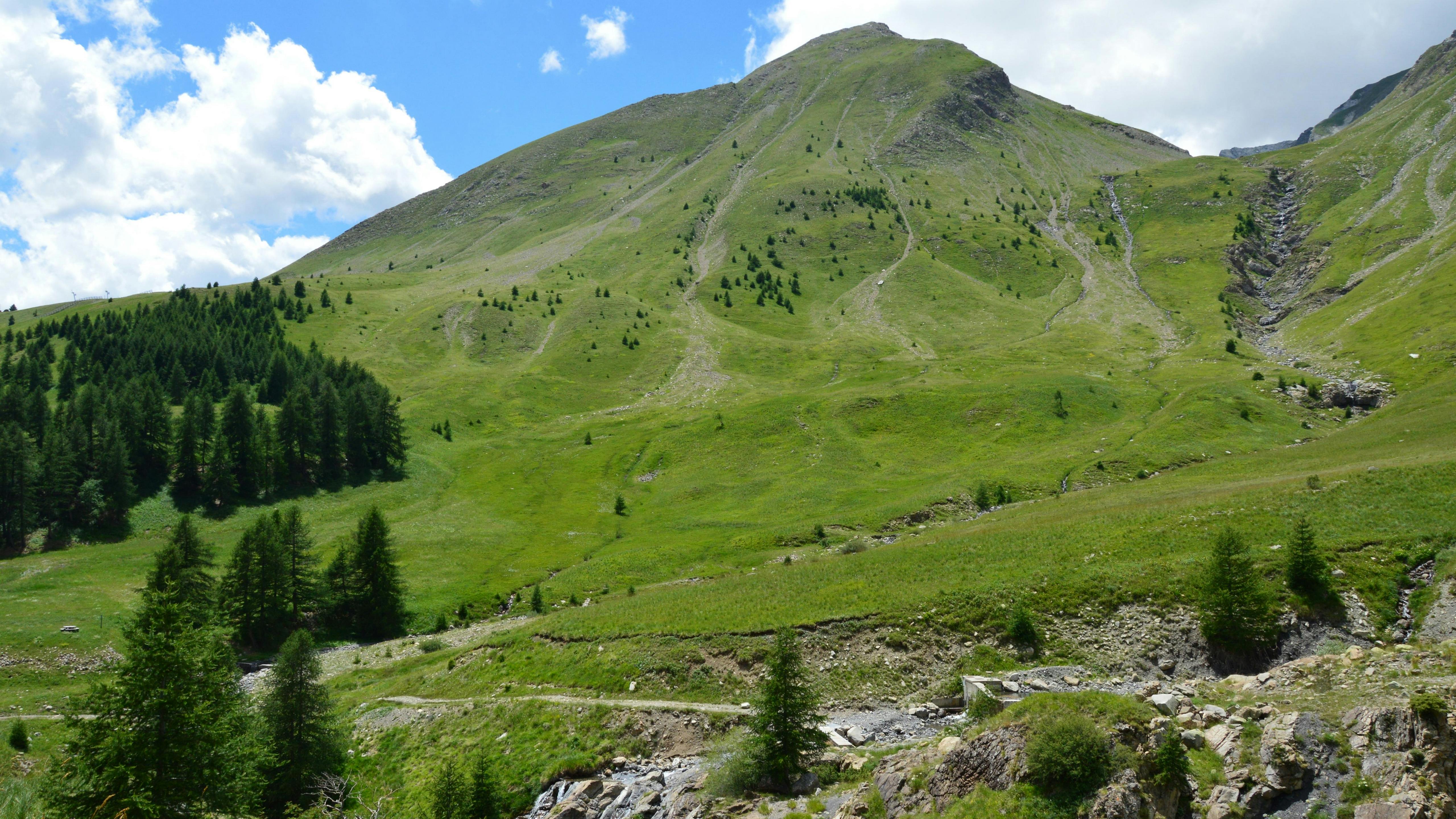 Green Mountain with Tall Trees · Free Stock Photo