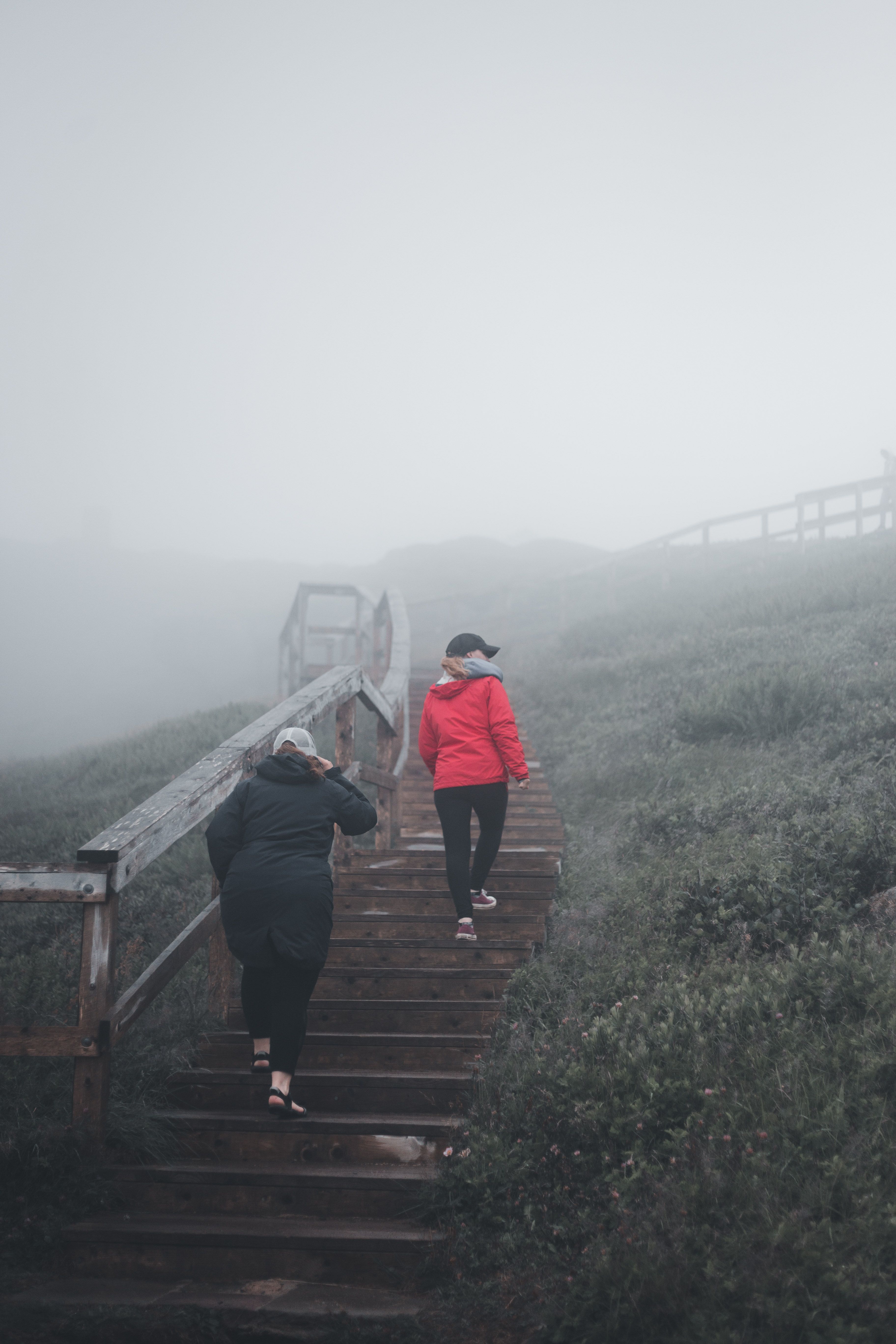 People Walking Upstairs · Free Stock Photo