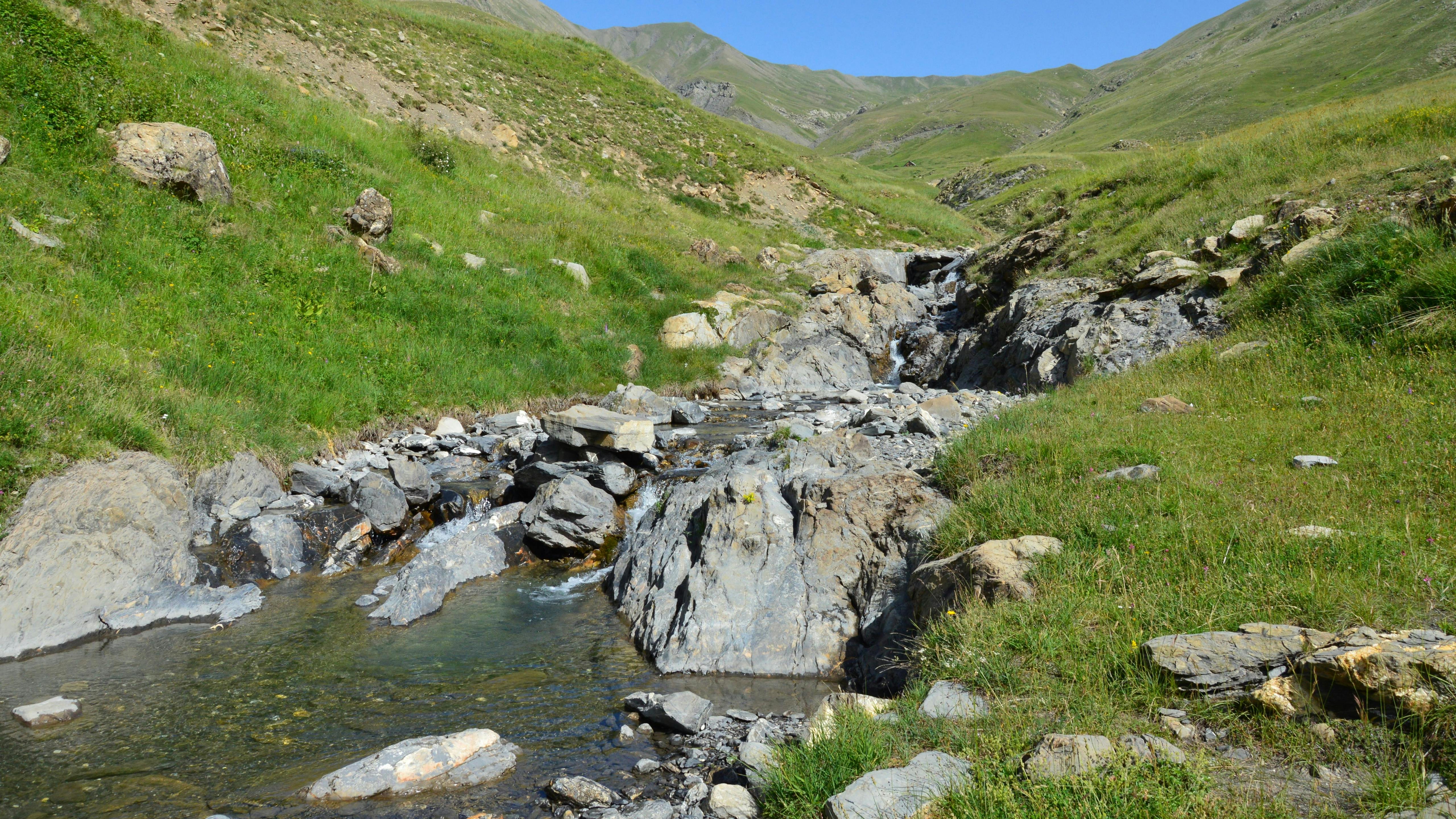 Stream Flowing through Forest on a Mountain Slope · Free Stock Photo