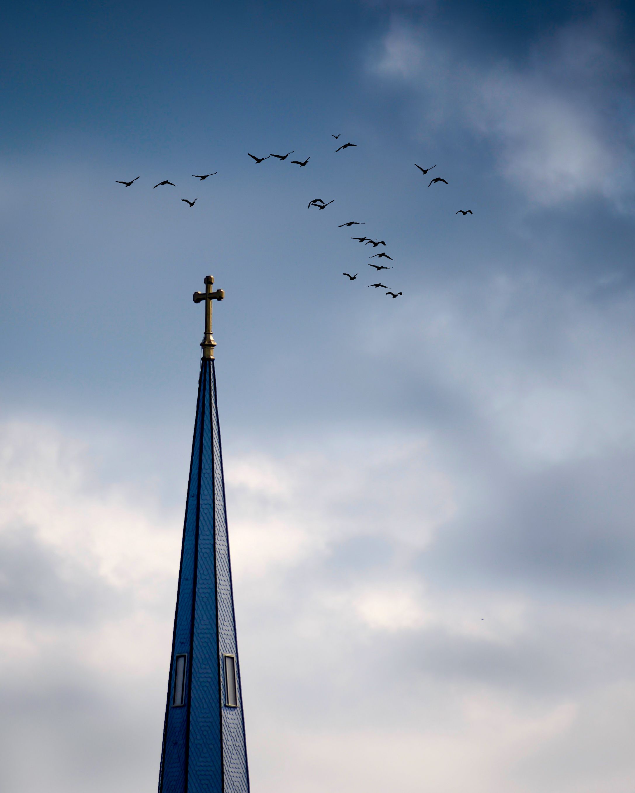 Flock of Birds Flying Near the Cross · Free Stock Photo