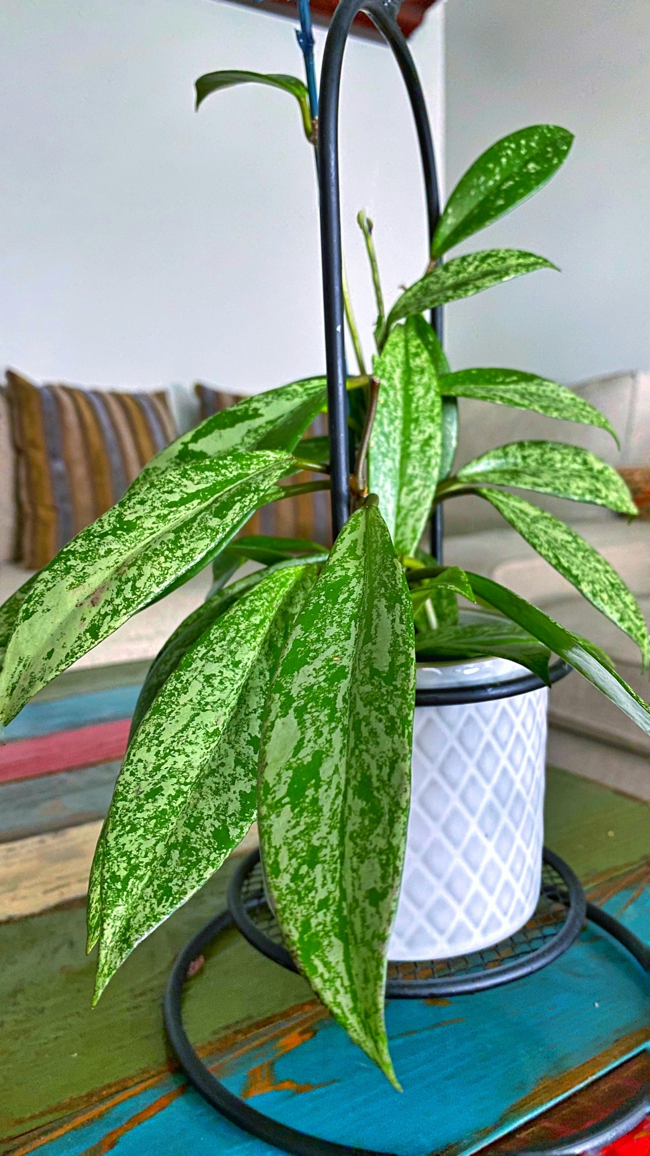 Jason Alvarez – Fotografia