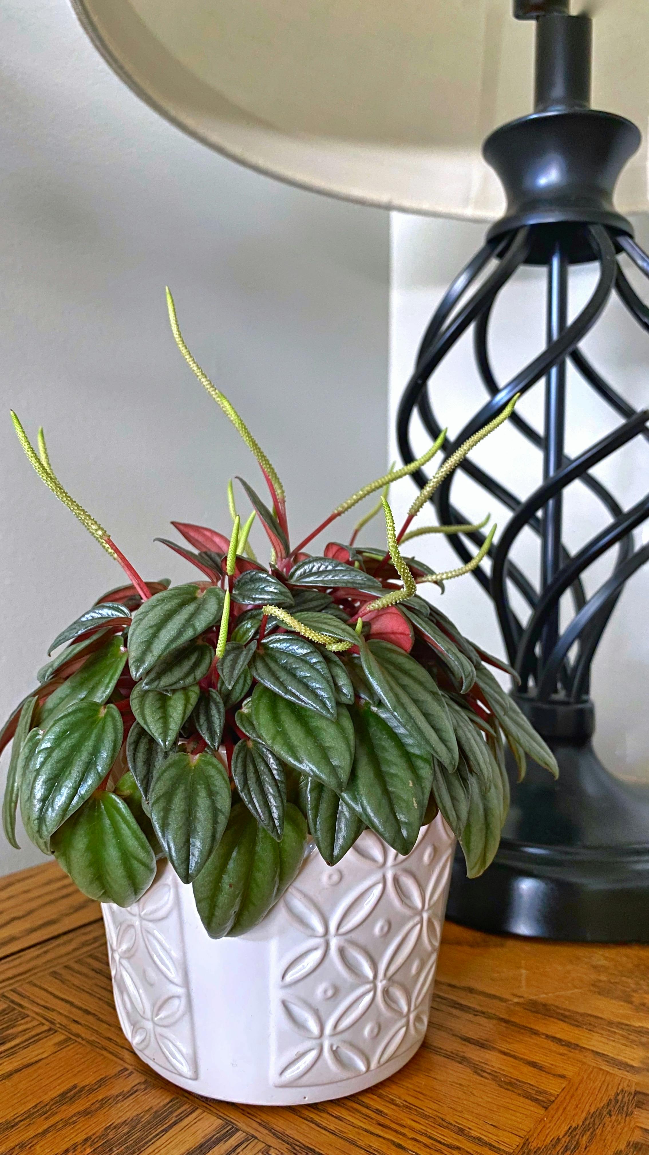 Jason Alvarez – Fotografia