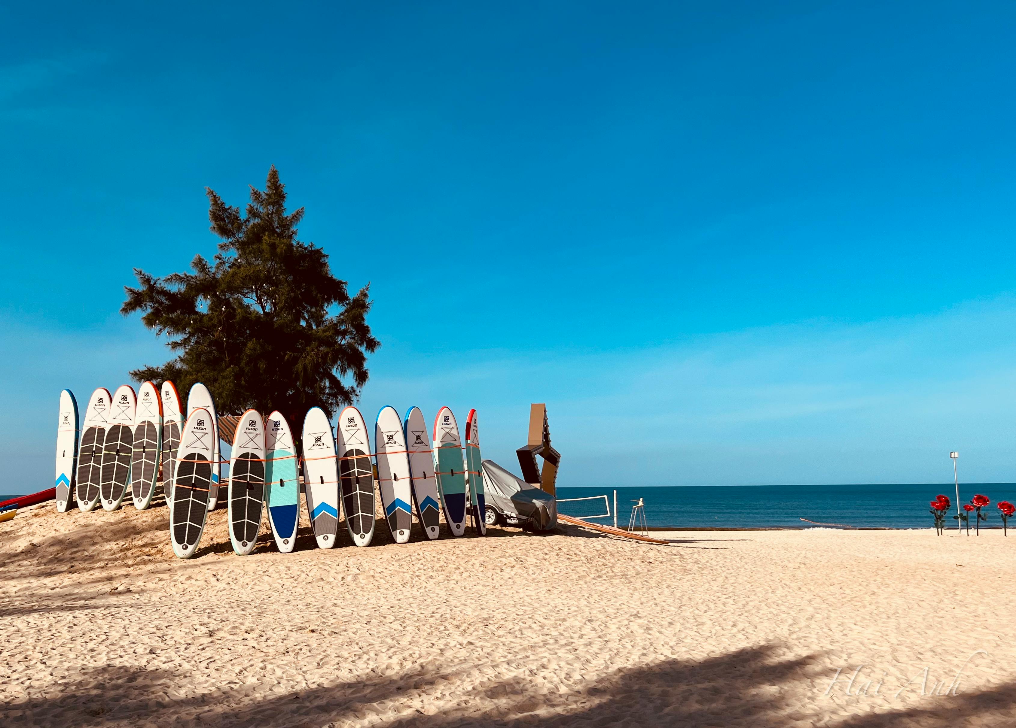 Beach Under Blue Sky · Free Stock Photo
