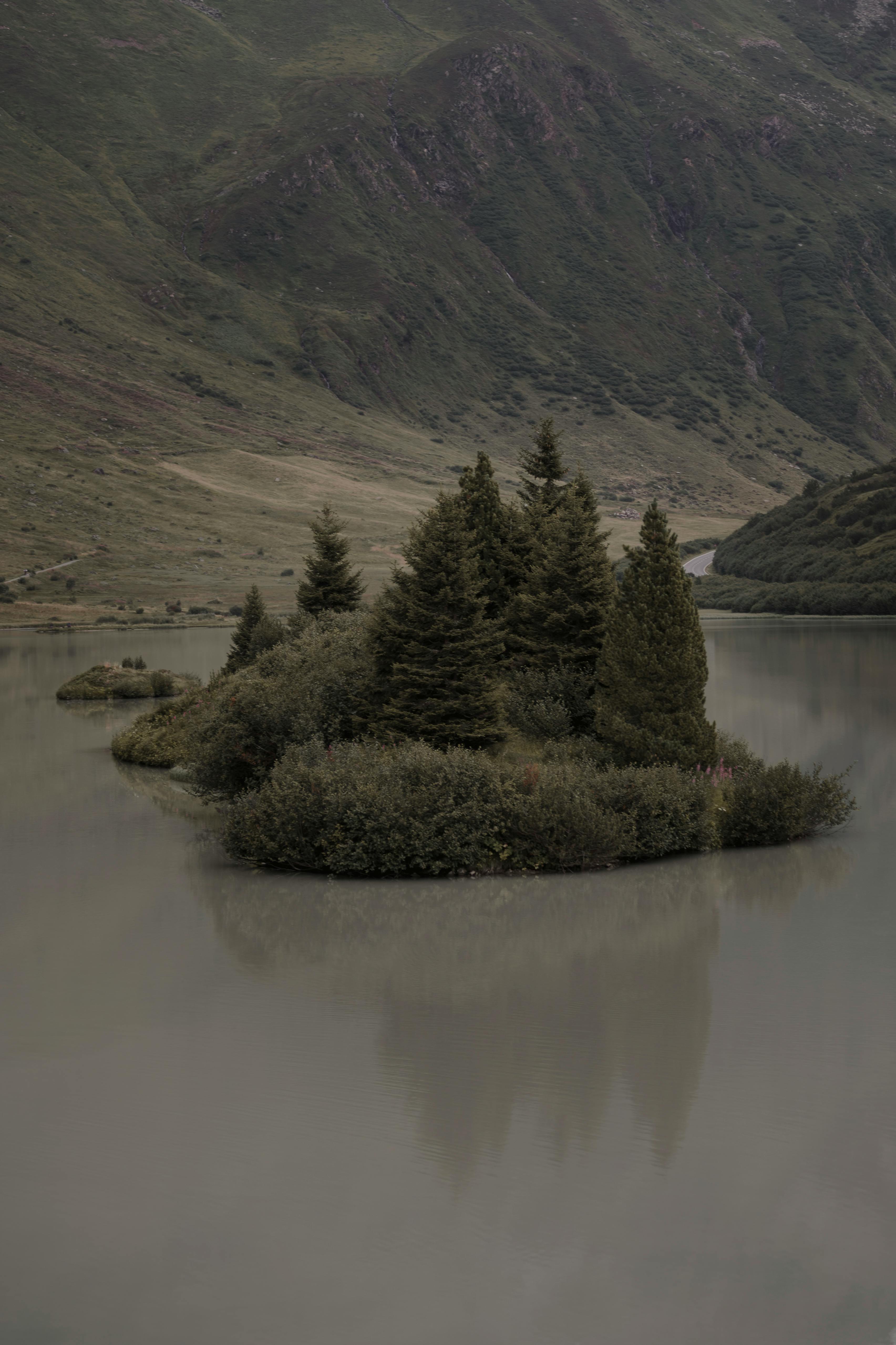 Islet in the Middle of the Lake · Free Stock Photo