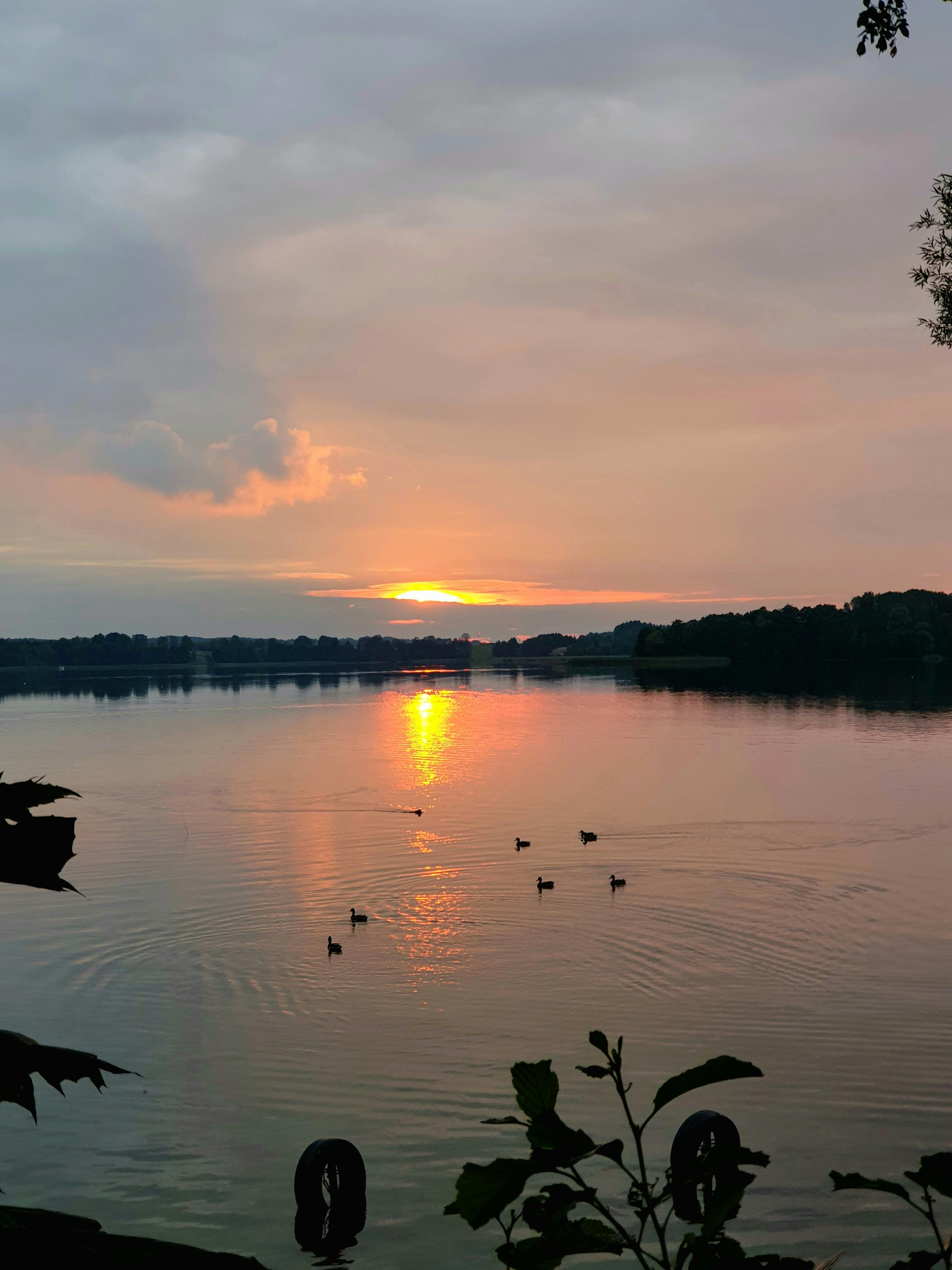 Martin_poland - 사진