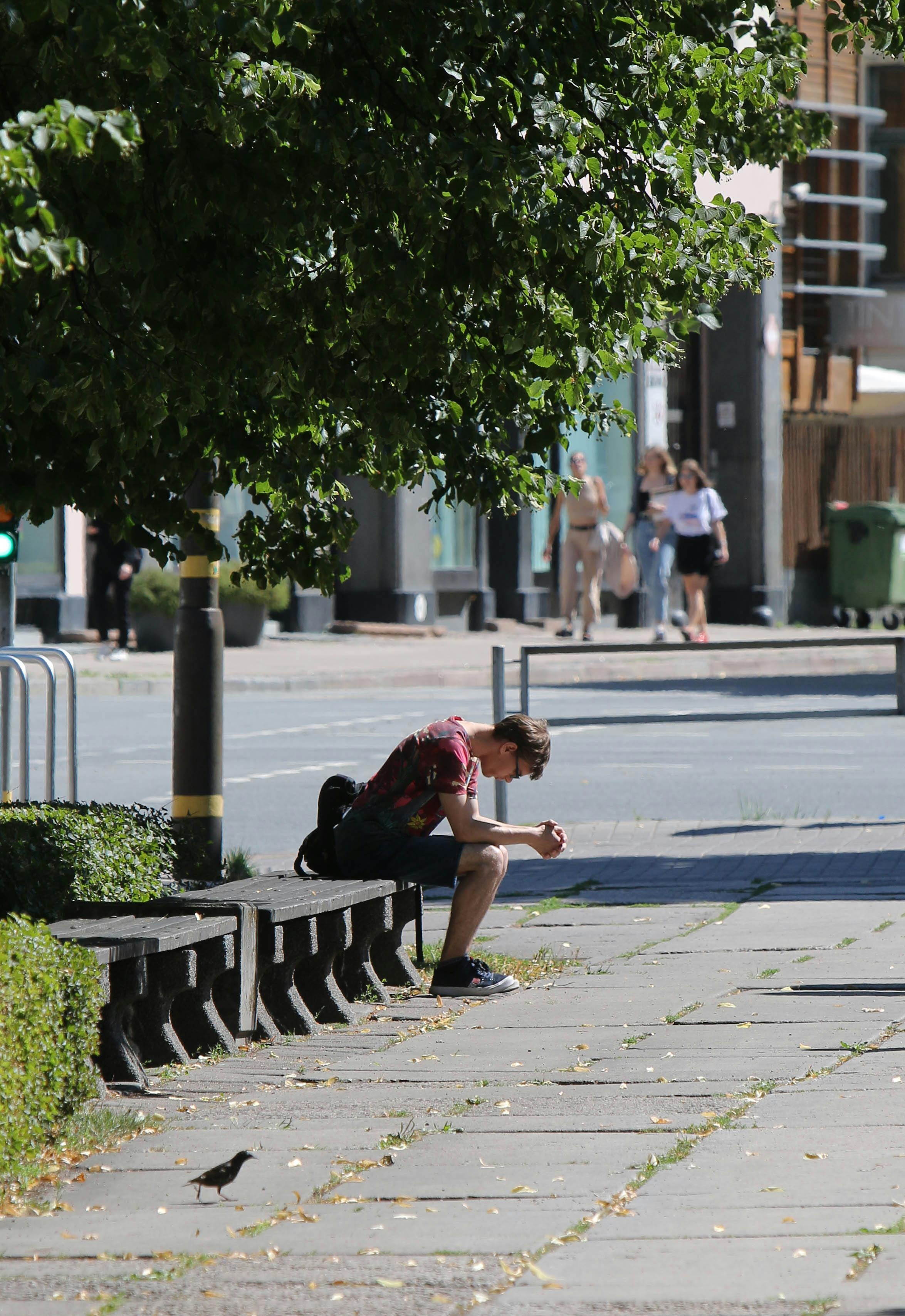 A Man Sitting on a Concrete Bench on the Street · Free Stock Photo
