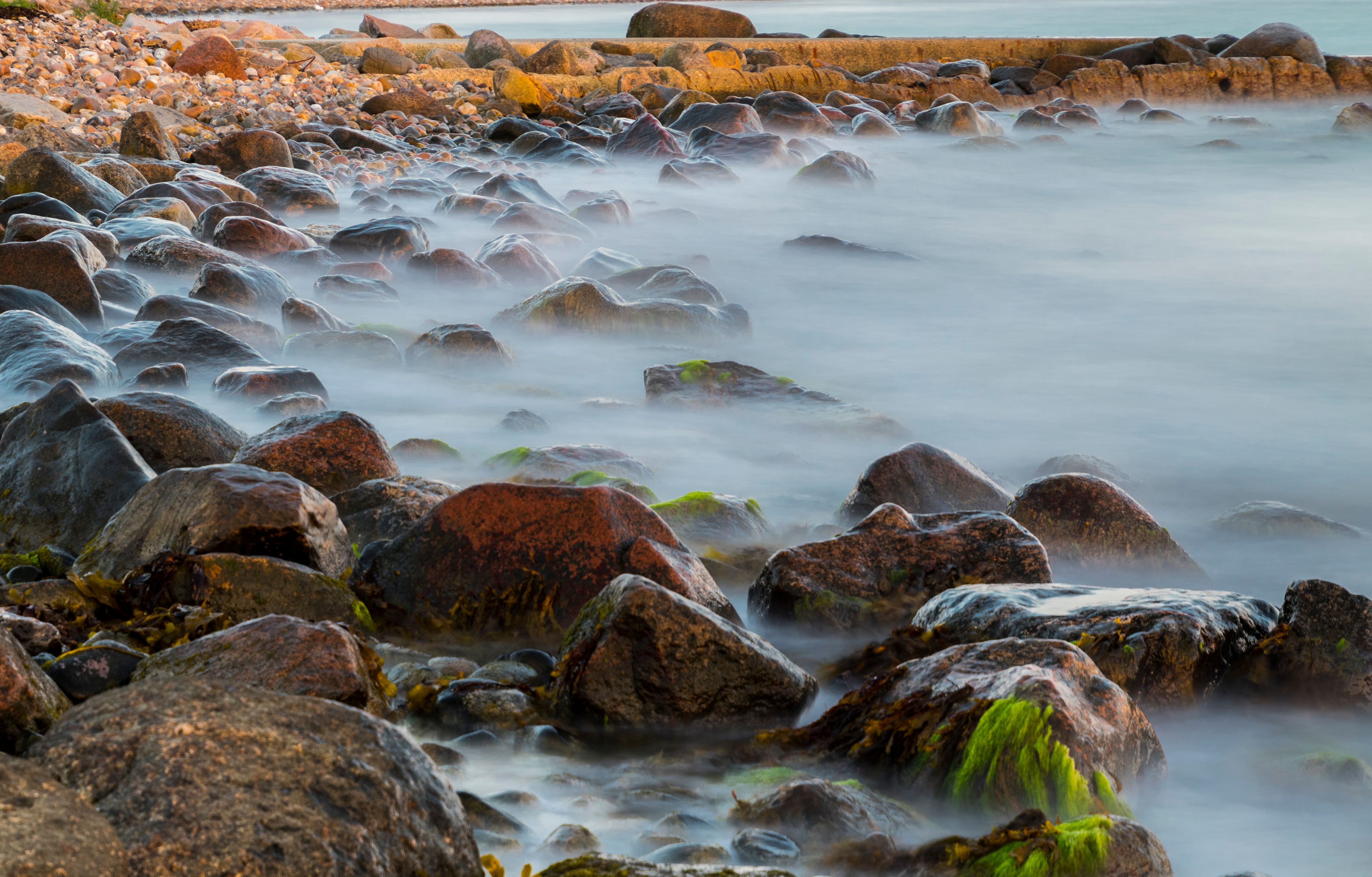 Mossy Rocks on Shore · Free Stock Photo