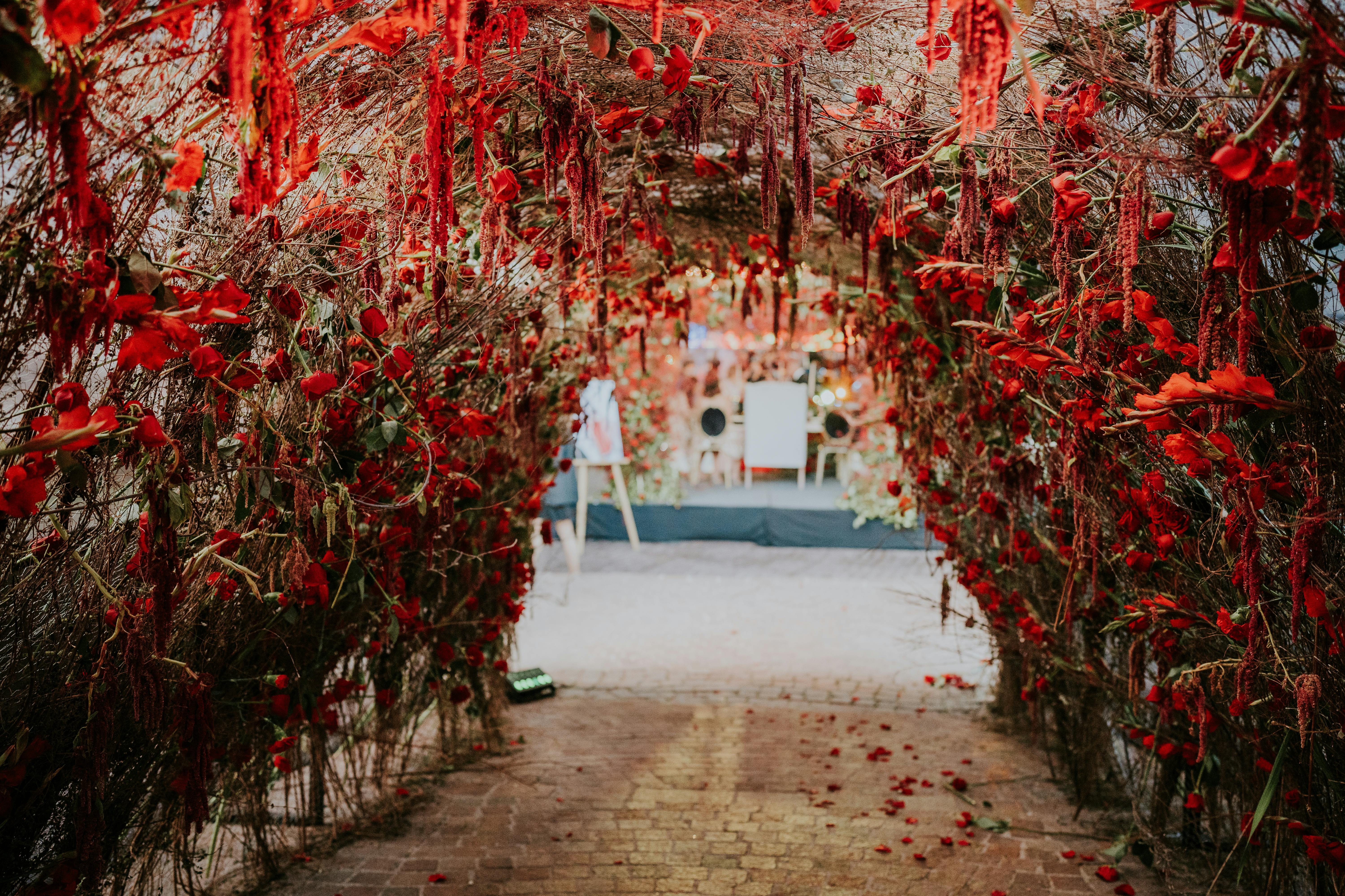 Arch made from Red Flowers and Twigs · Free Stock Photo