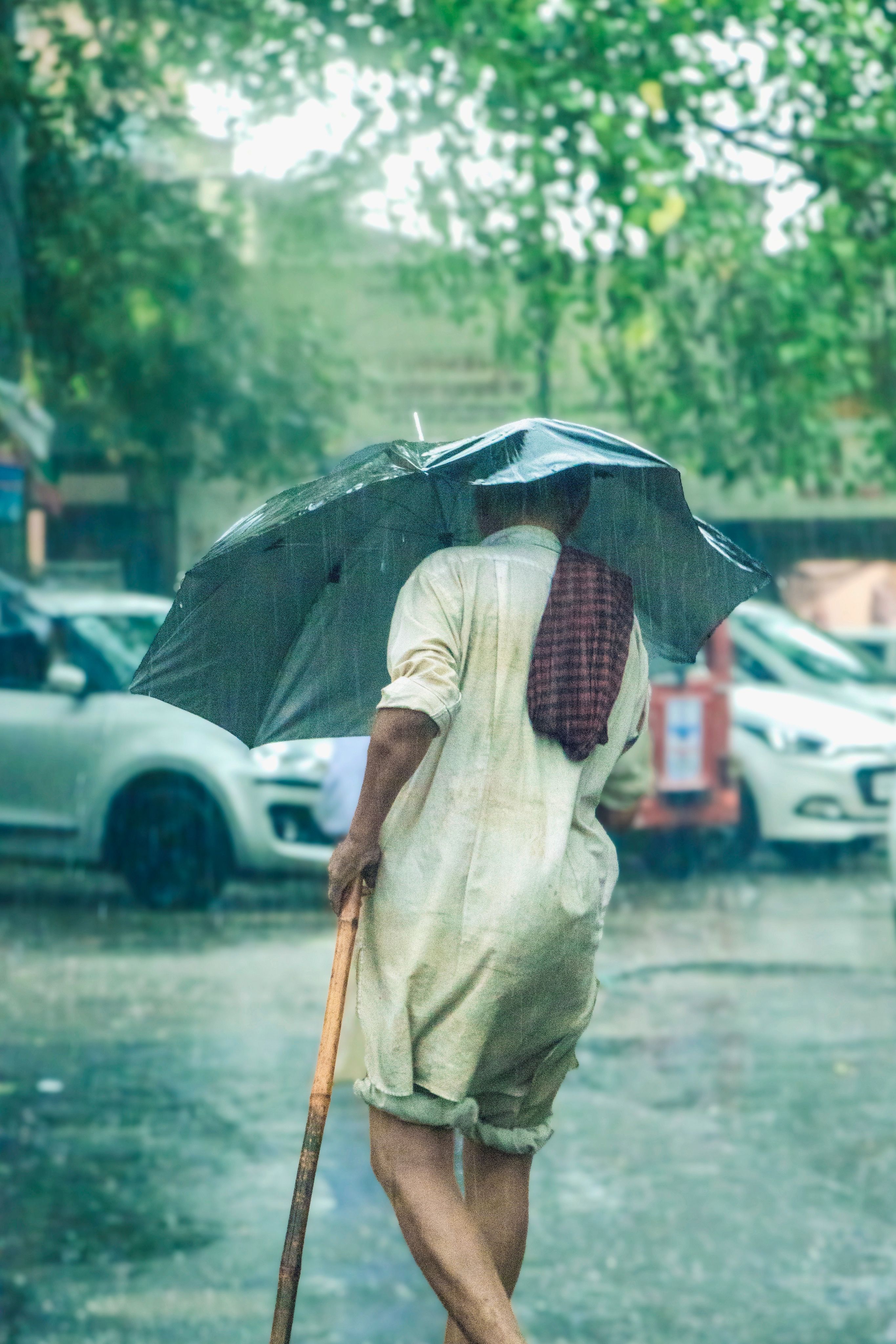 Person Walking in The Rain · Free Stock Photo