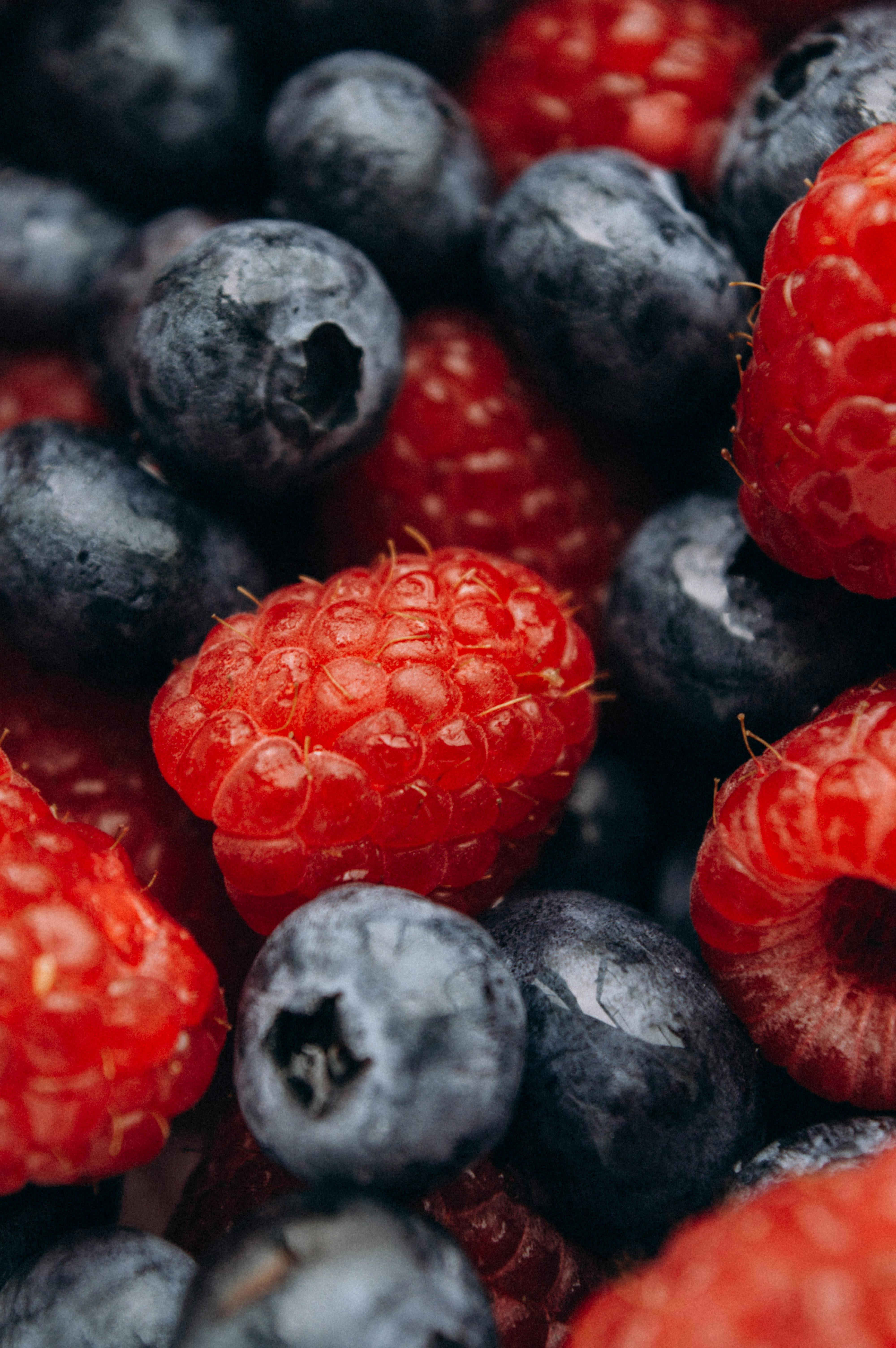 Close-up of Fresh Berries · Free Stock Photo