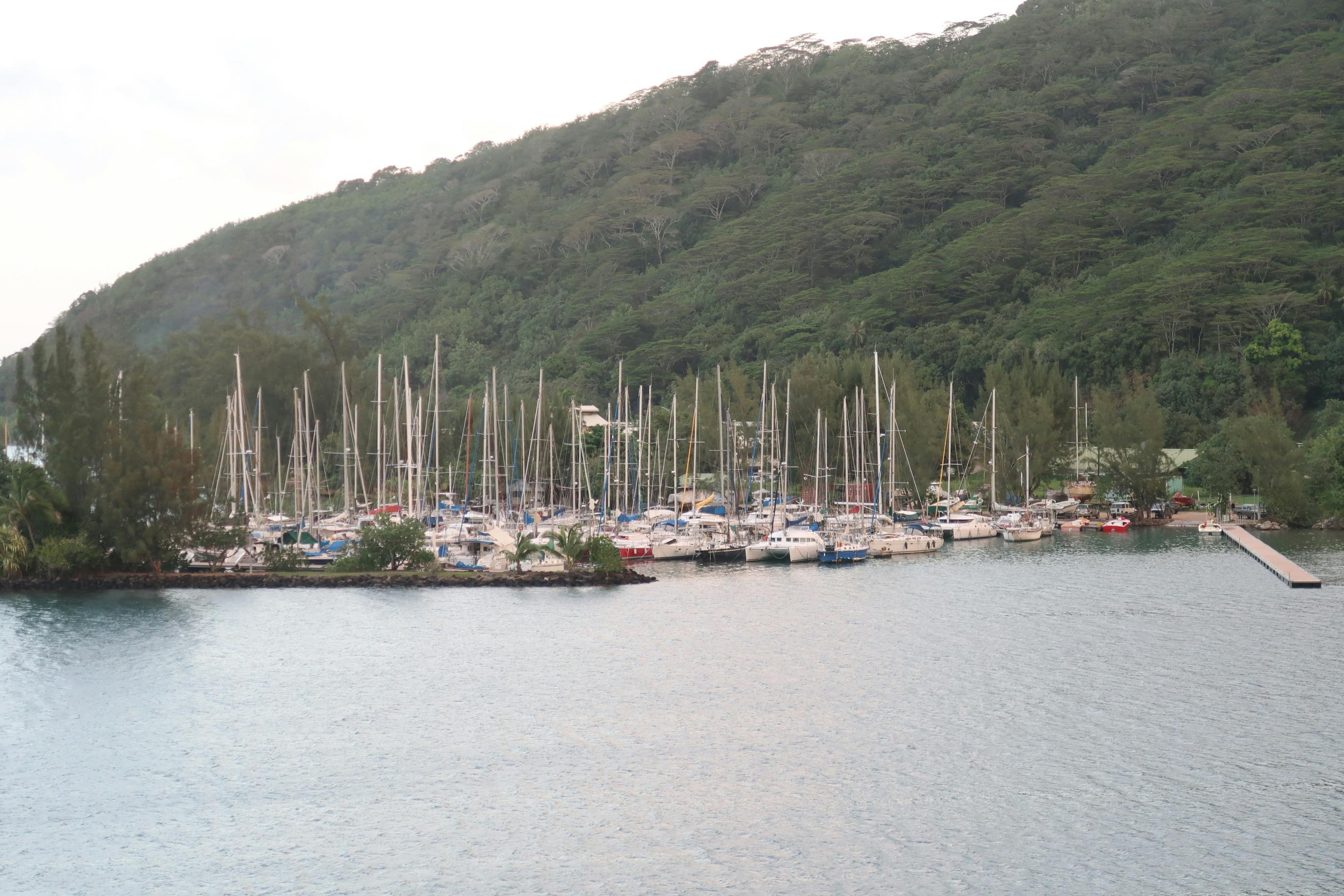 Isla Marina Photos, Download Free Isla Marina Stock Photos & HD Images