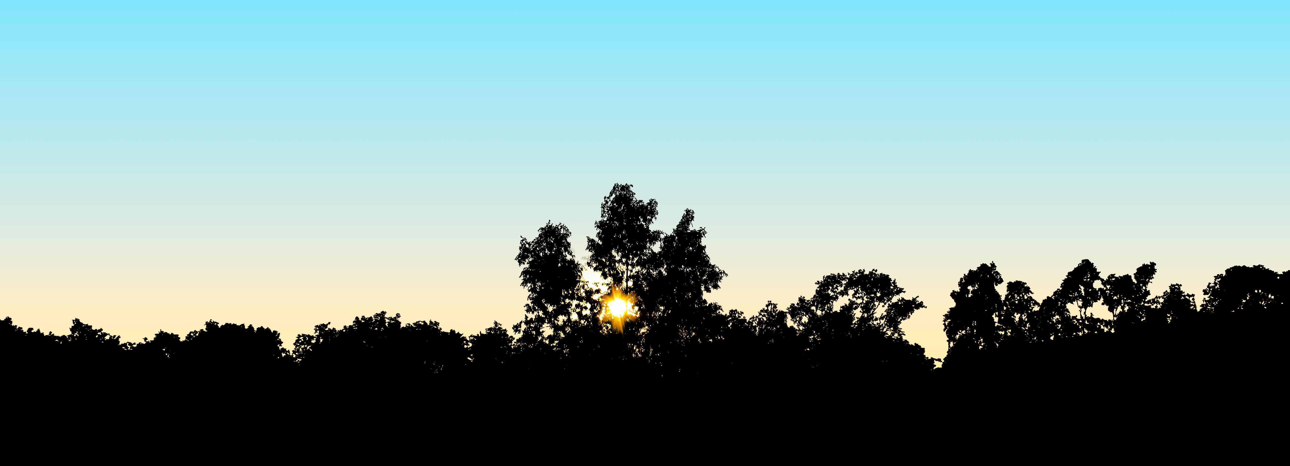 Free stock photo of blue, clear sky, contrast