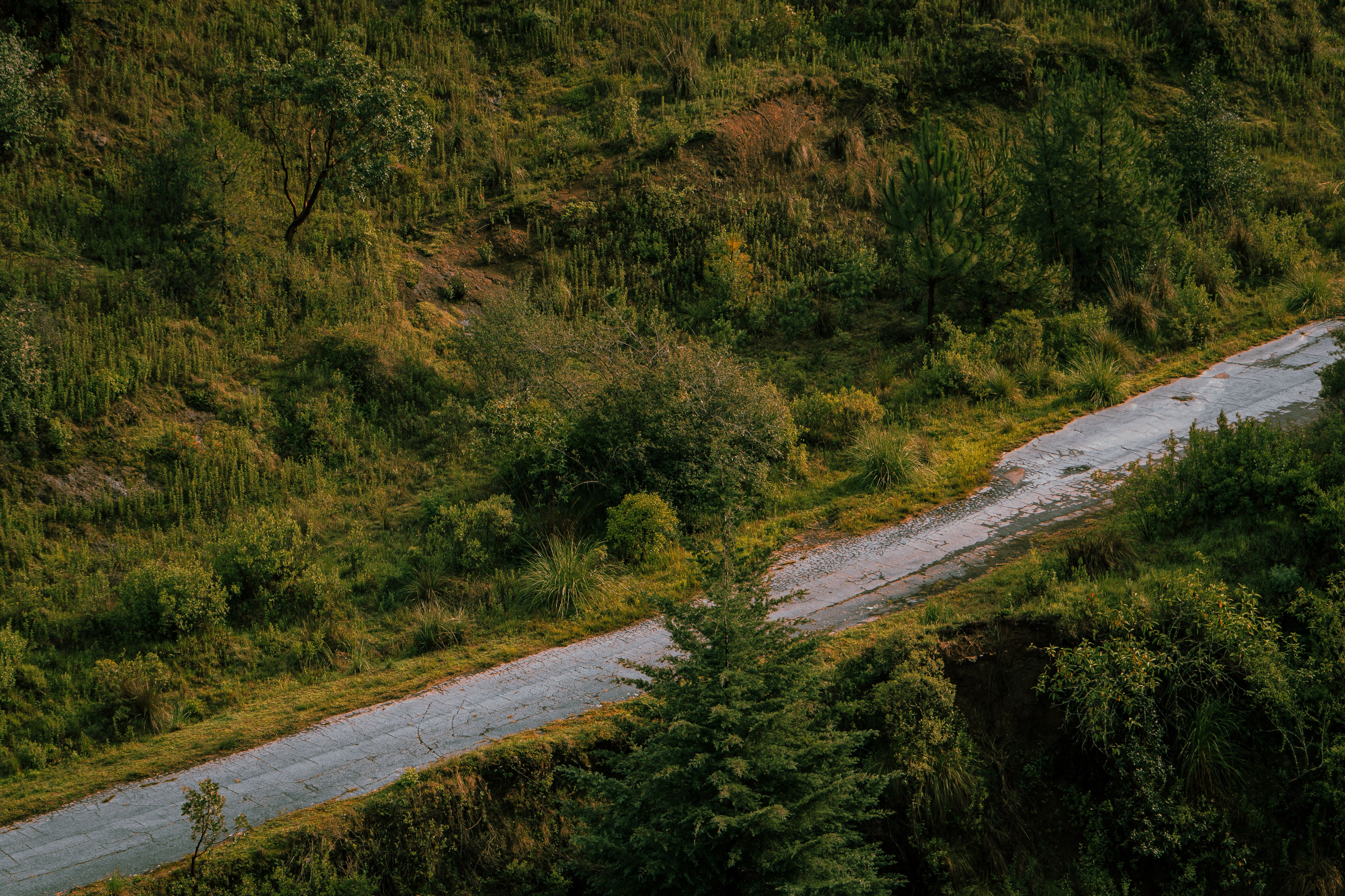 Aerial Photography of a Country Road · Free Stock Photo