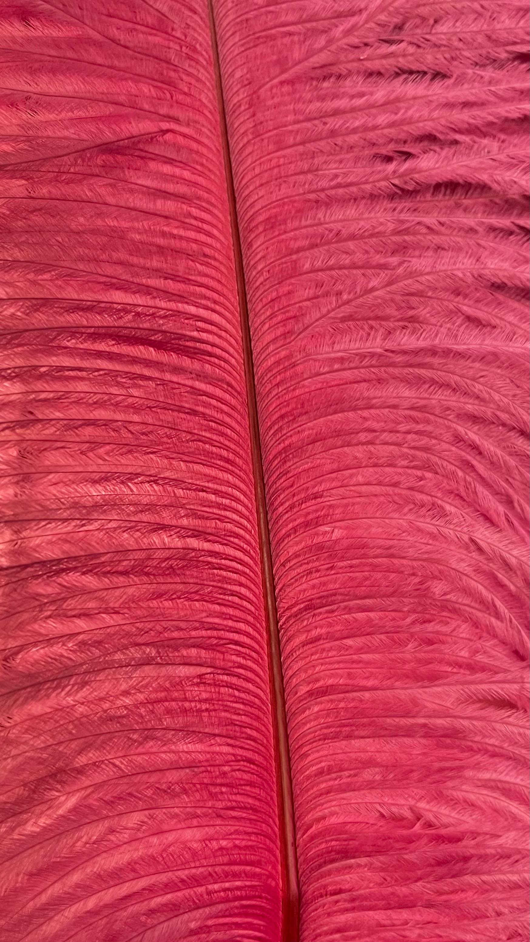 Close Up Photo of a Red Feather · Free Stock Photo