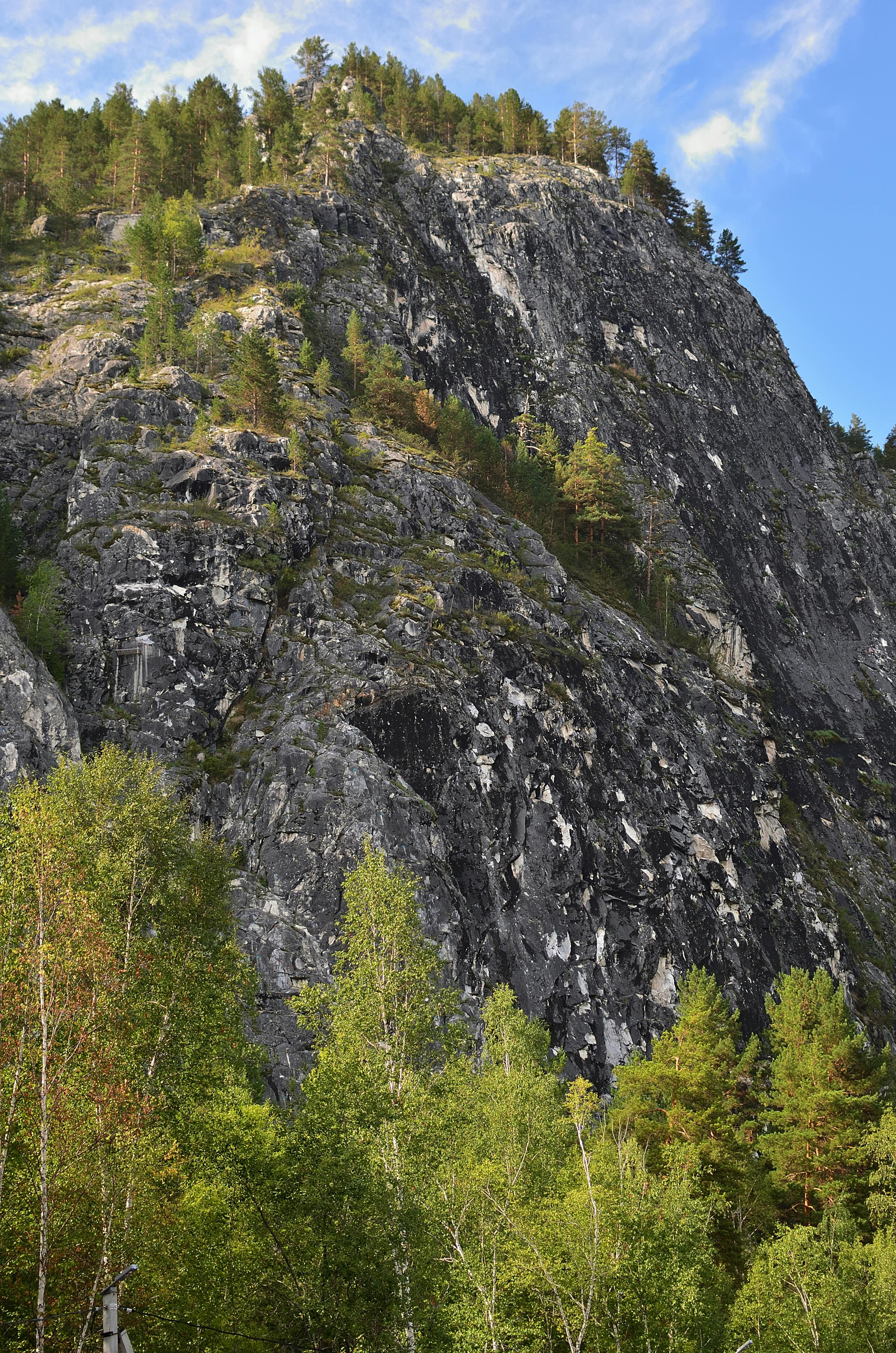 Green Trees on Rocky Mountain · Free Stock Photo