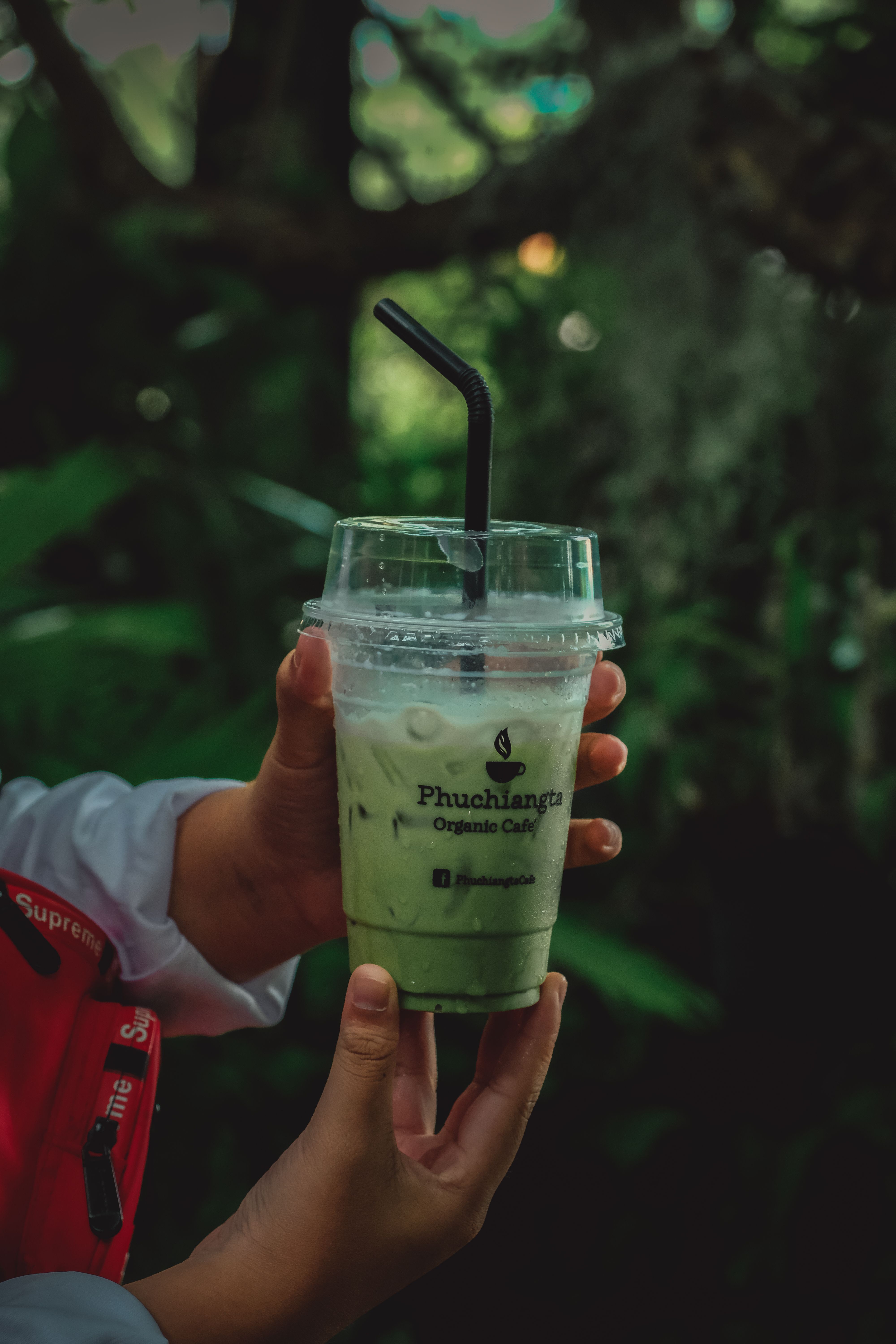 Woman Drinking Matcha and Watching a Cartoon · Free Stock Photo
