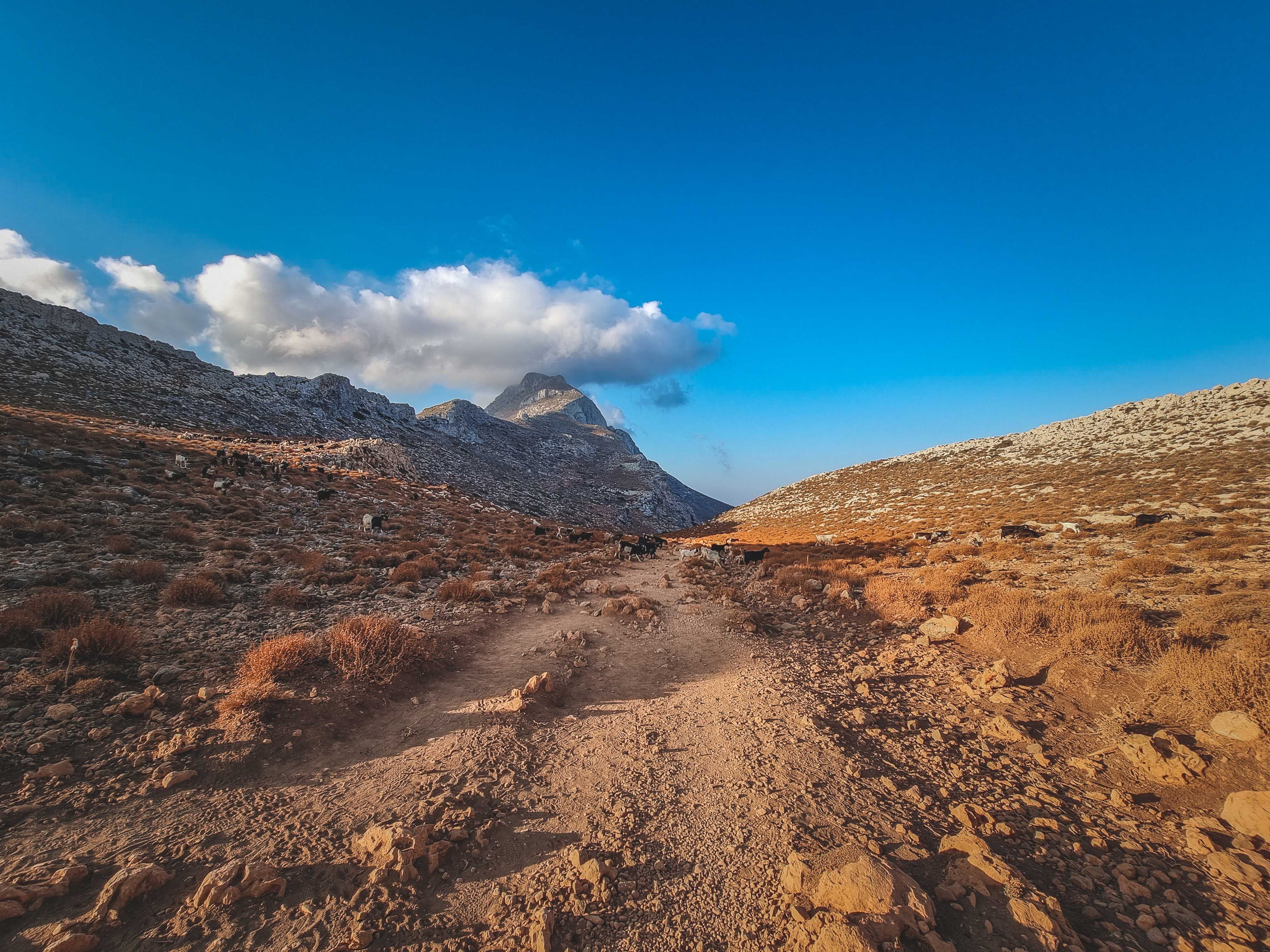 Off Road Trail in the Desert · Free Stock Photo