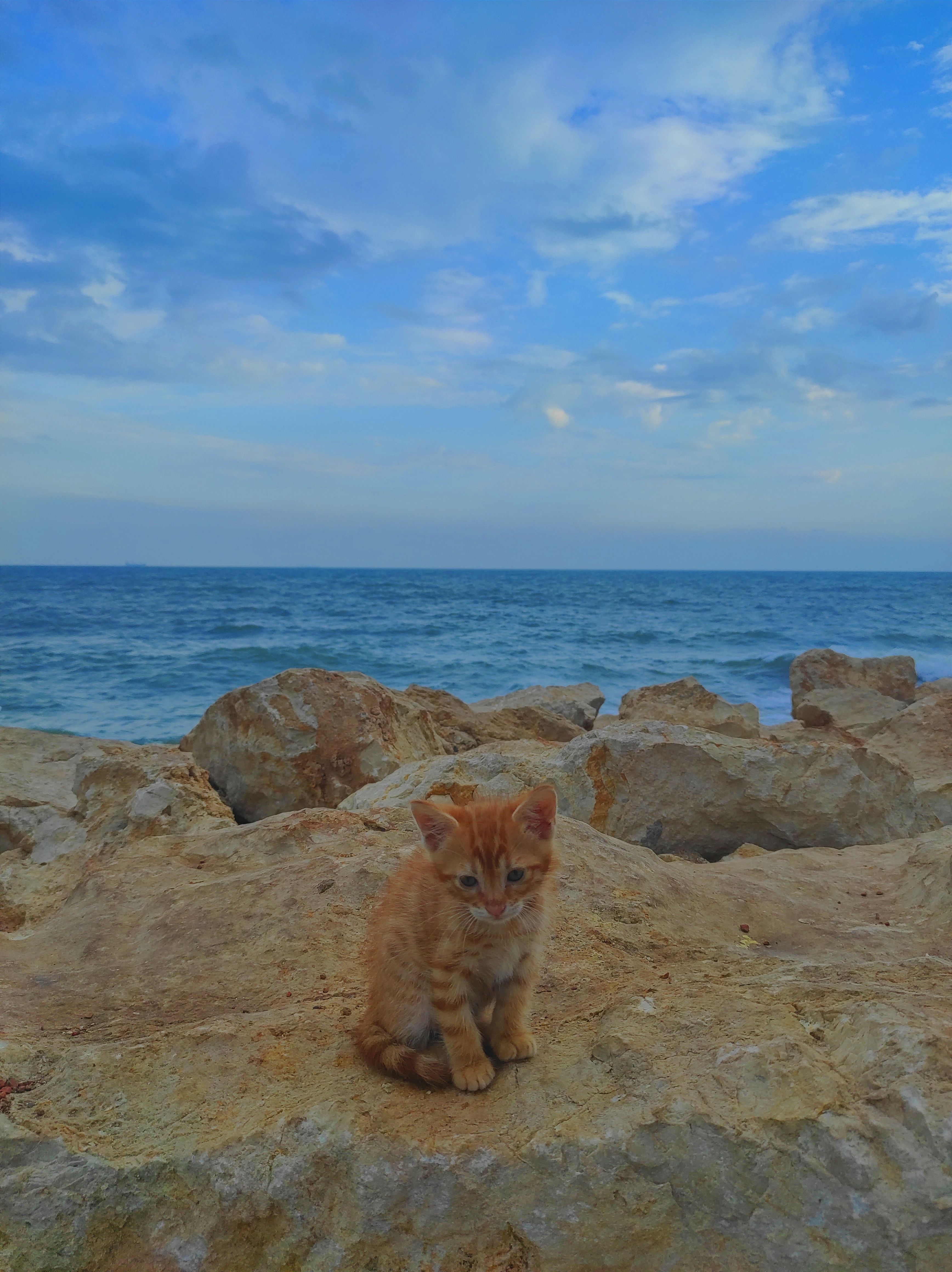 Beyza Nur - Fotografía