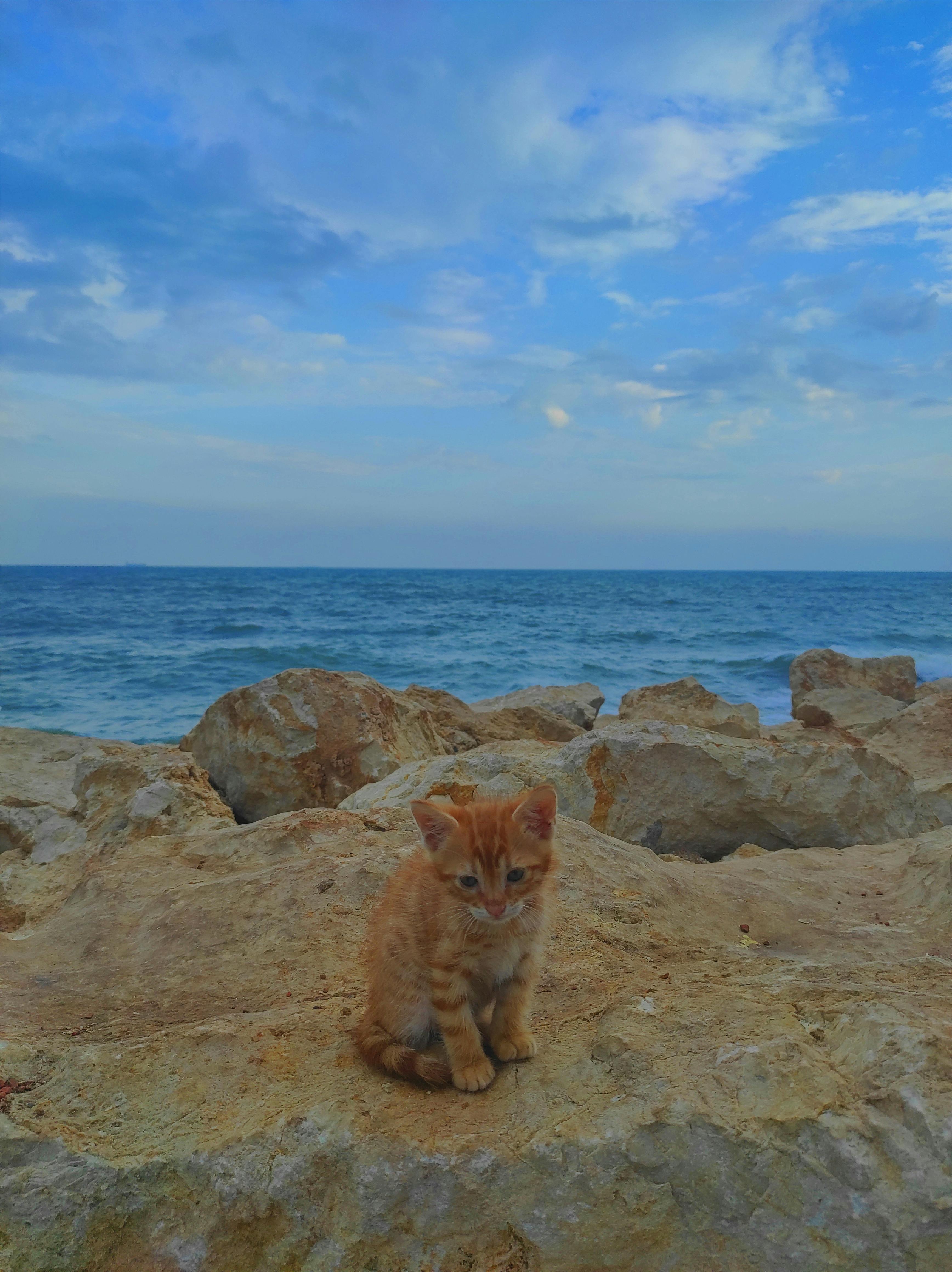 Beyza Nur - Fotografía