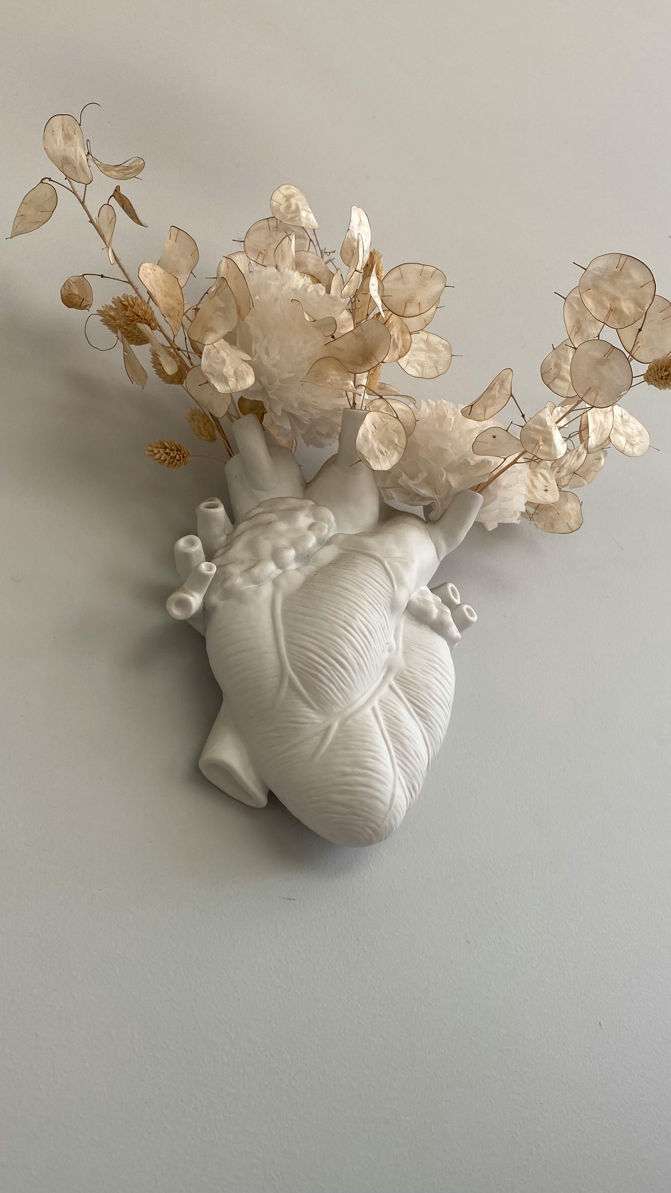 Alexandra Kim - Fotografía