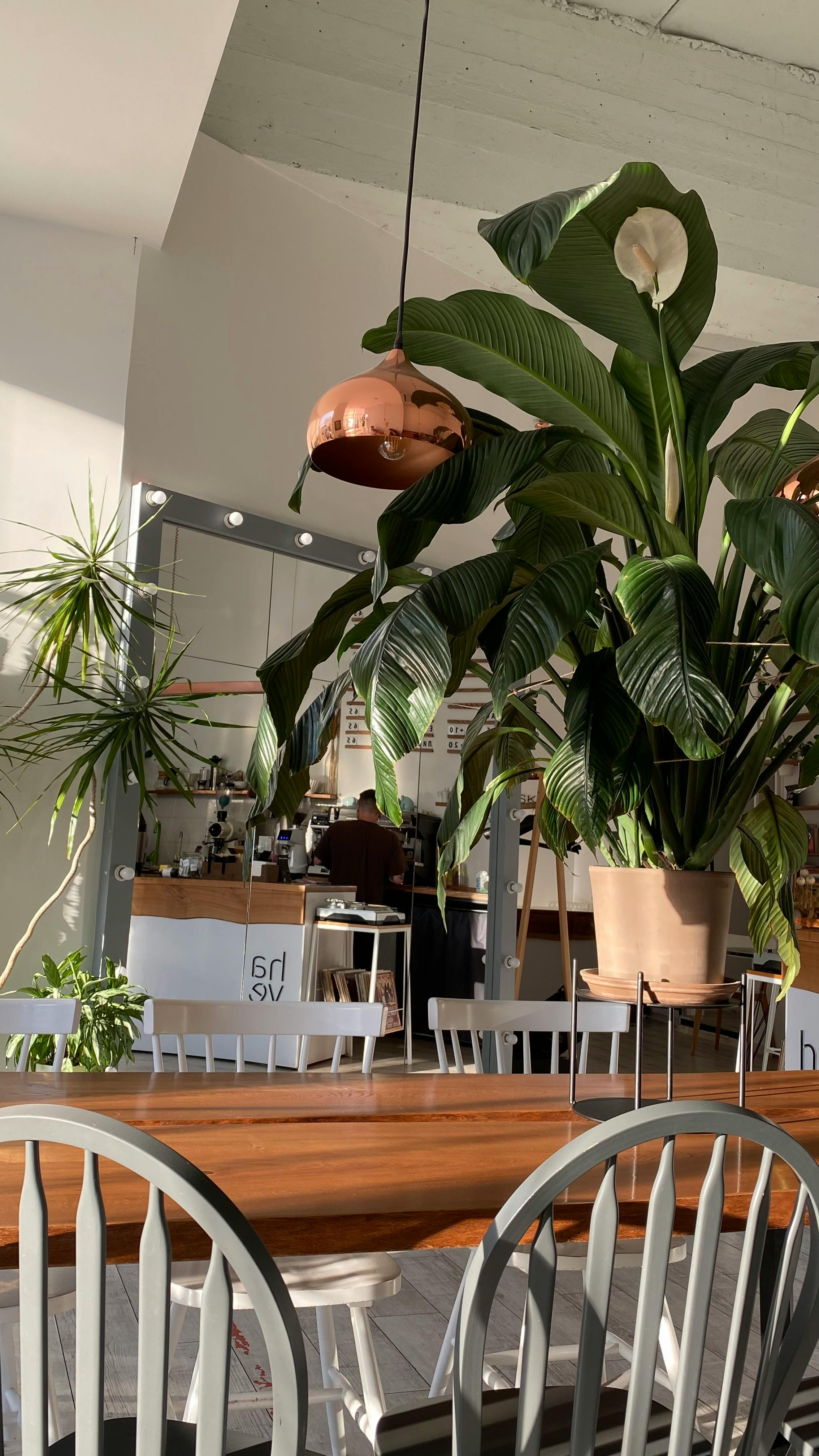 Alexandra Kim - Fotografía